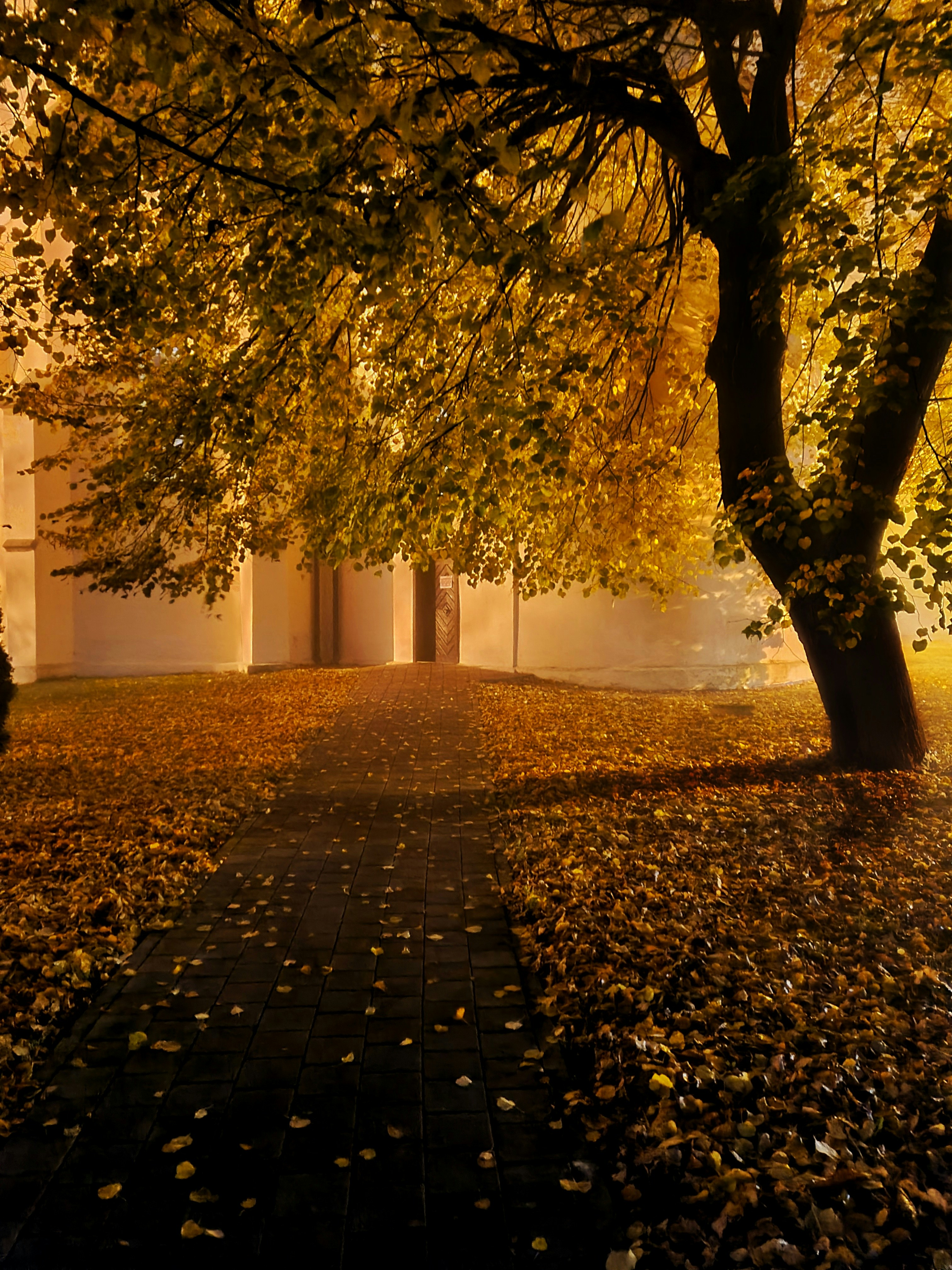 Dusk-lit photograph of a brick path flanked by autumn trees, with leaves scattered on the ground and a warm glow from distant lights.