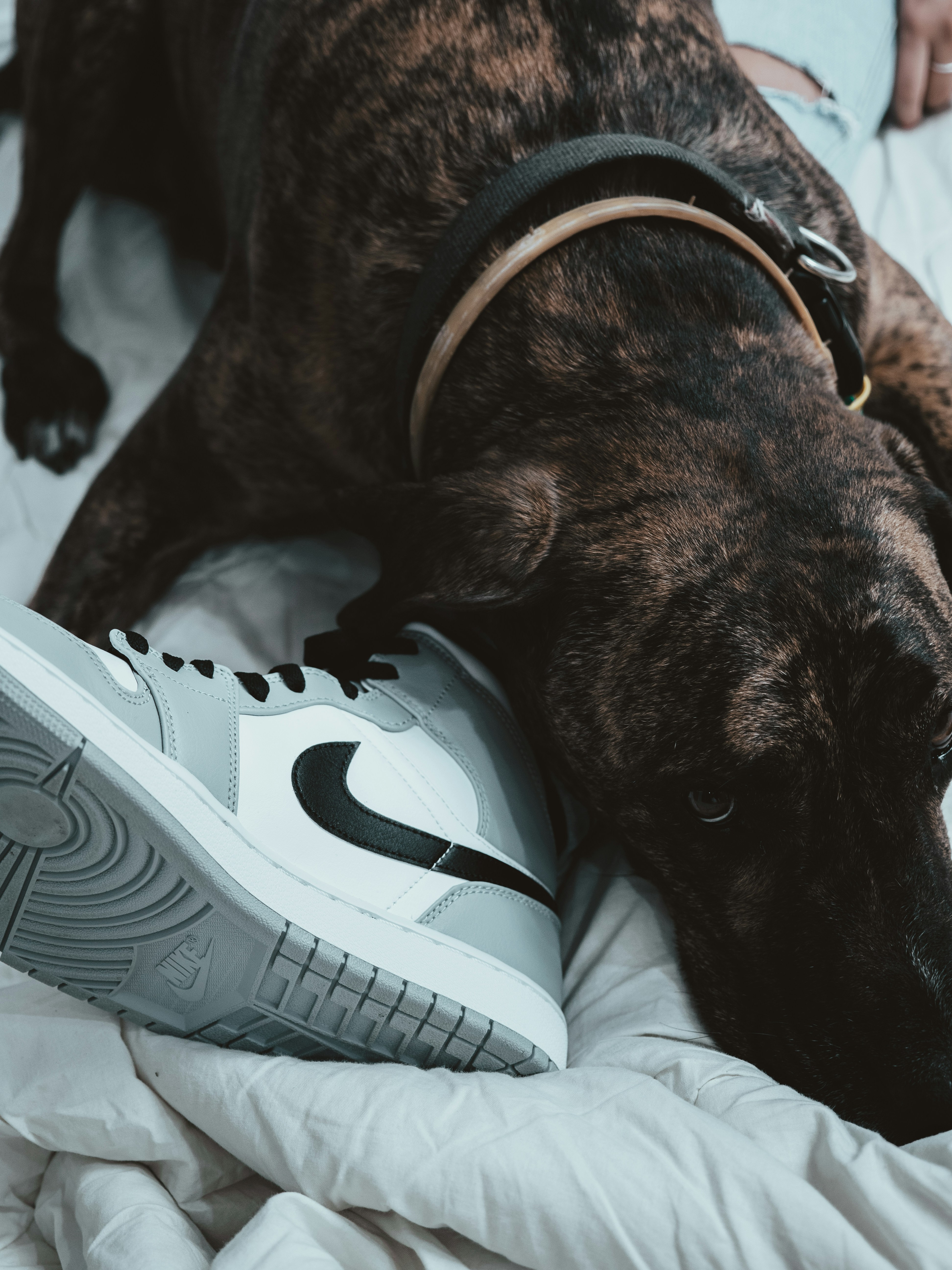 these are mine now
