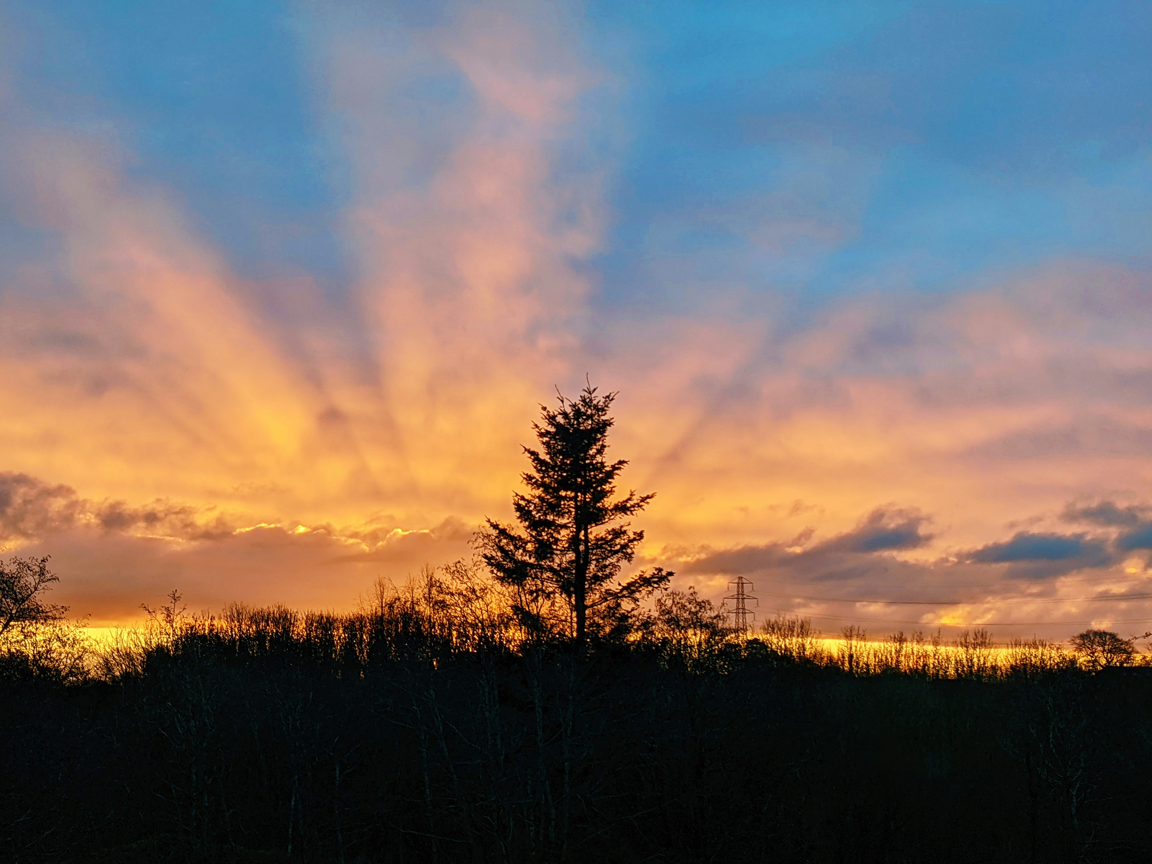 Morning Sunshine Pictures | Download Free Images on Unsplash