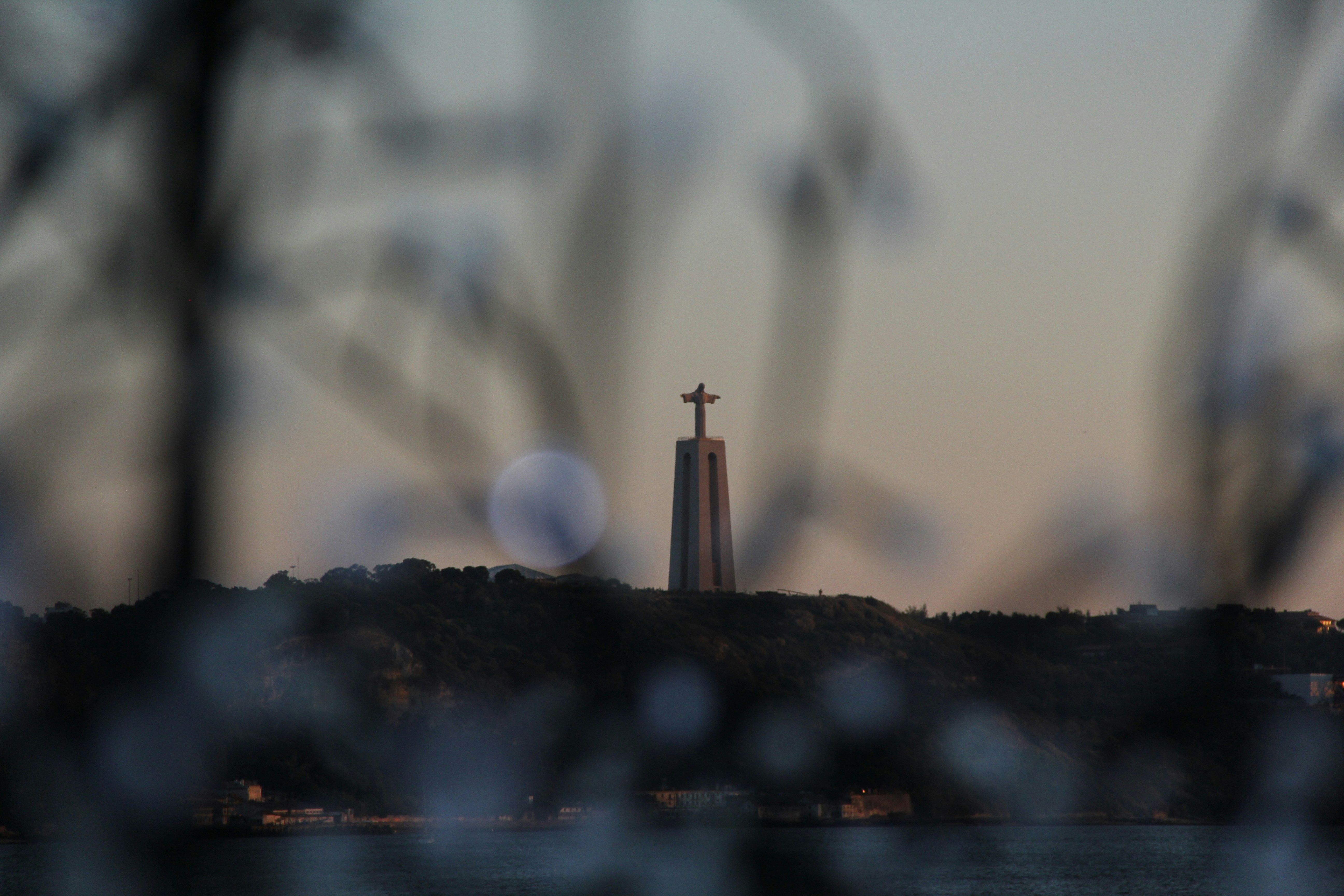 Christ the King statue silhouetted against a soft twilight sky, framed by delicate branches in the foreground.