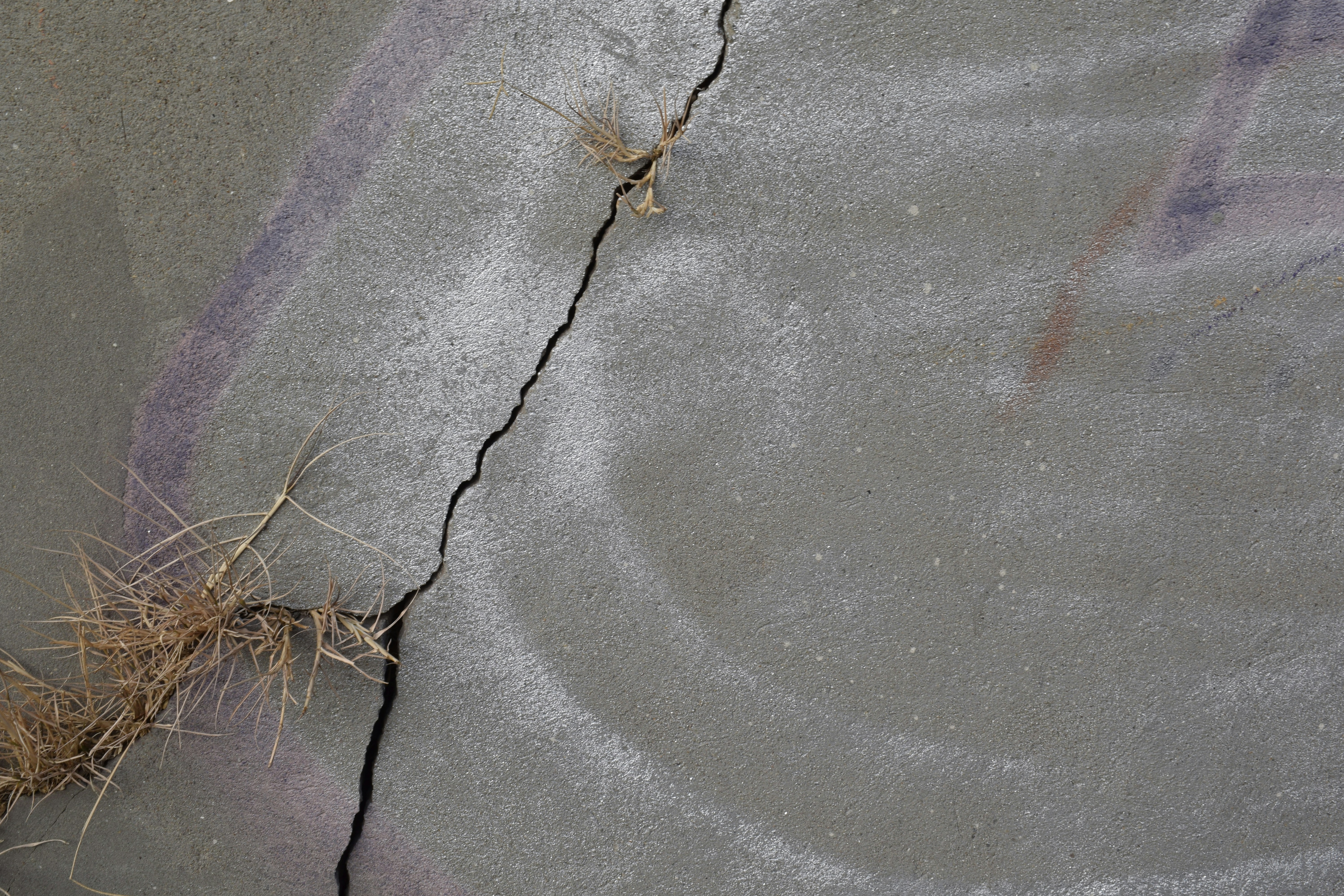 A close-up of a concrete surface showing a prominent crack with dry grass peeking through, illustrating nature's persistence in an urban environment.