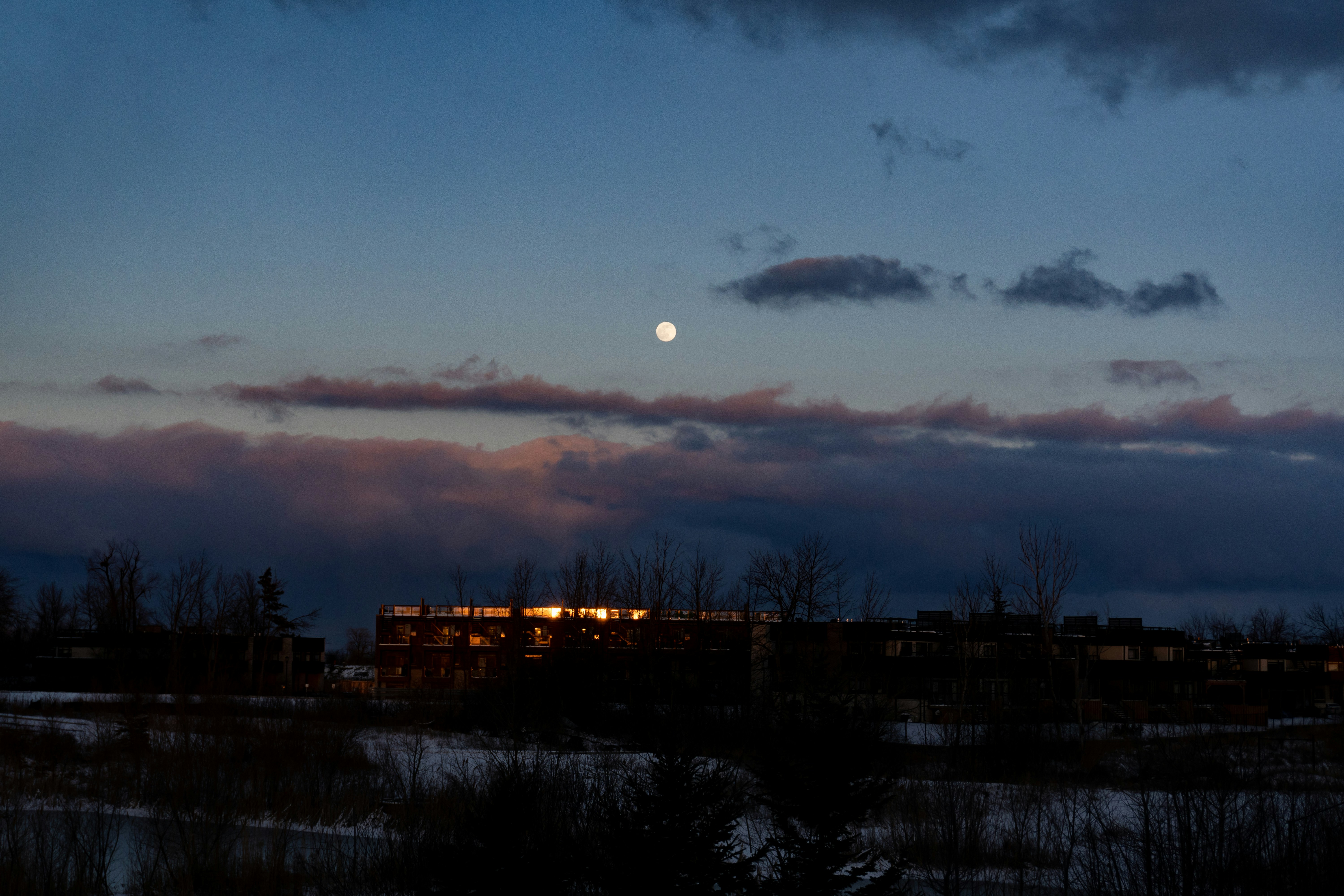 Lunar Glow Over Twilight Silhouettes