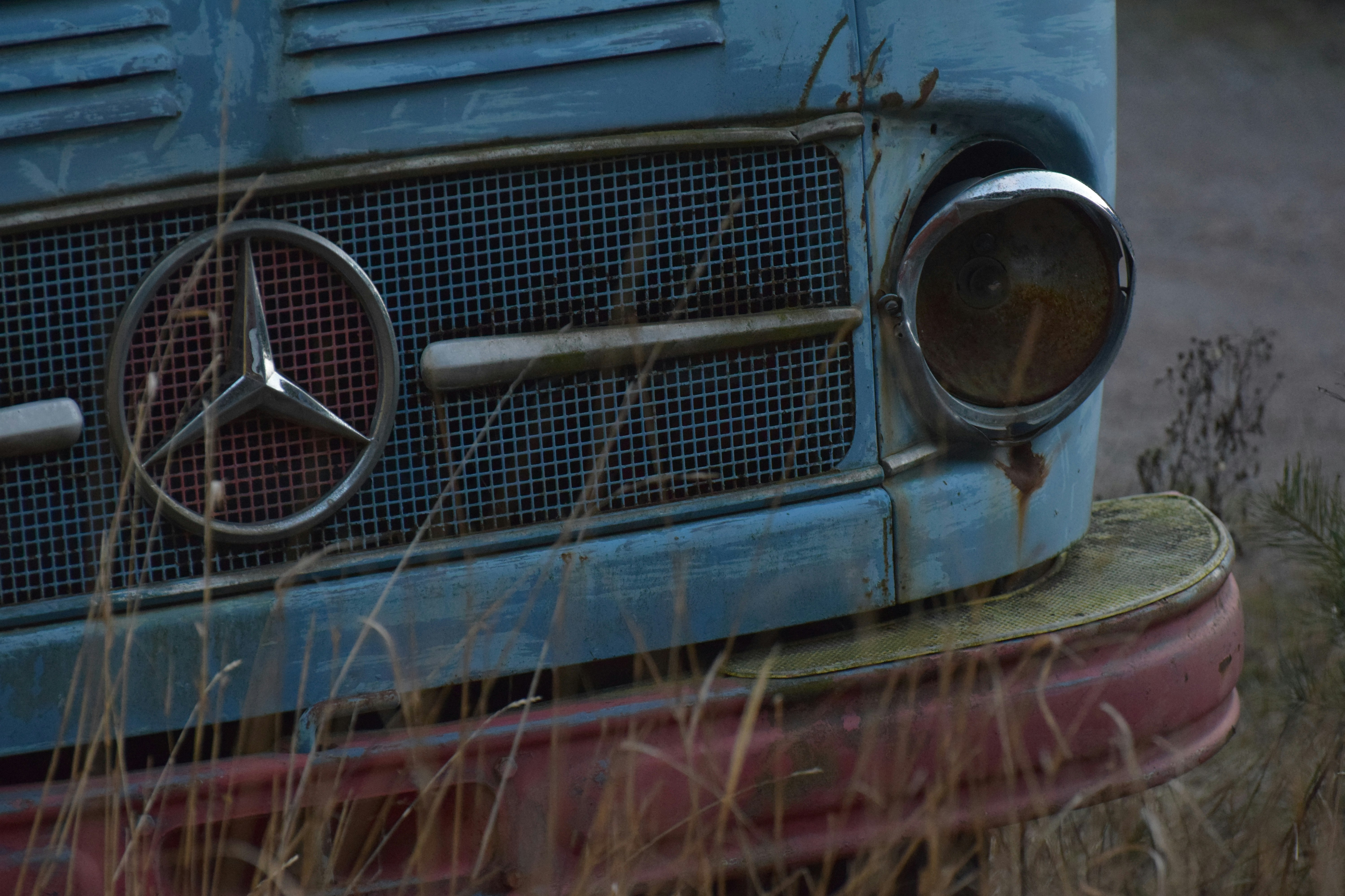 Timeworn Grille: A Blue Mercedes Quietly Claimed by Grass
