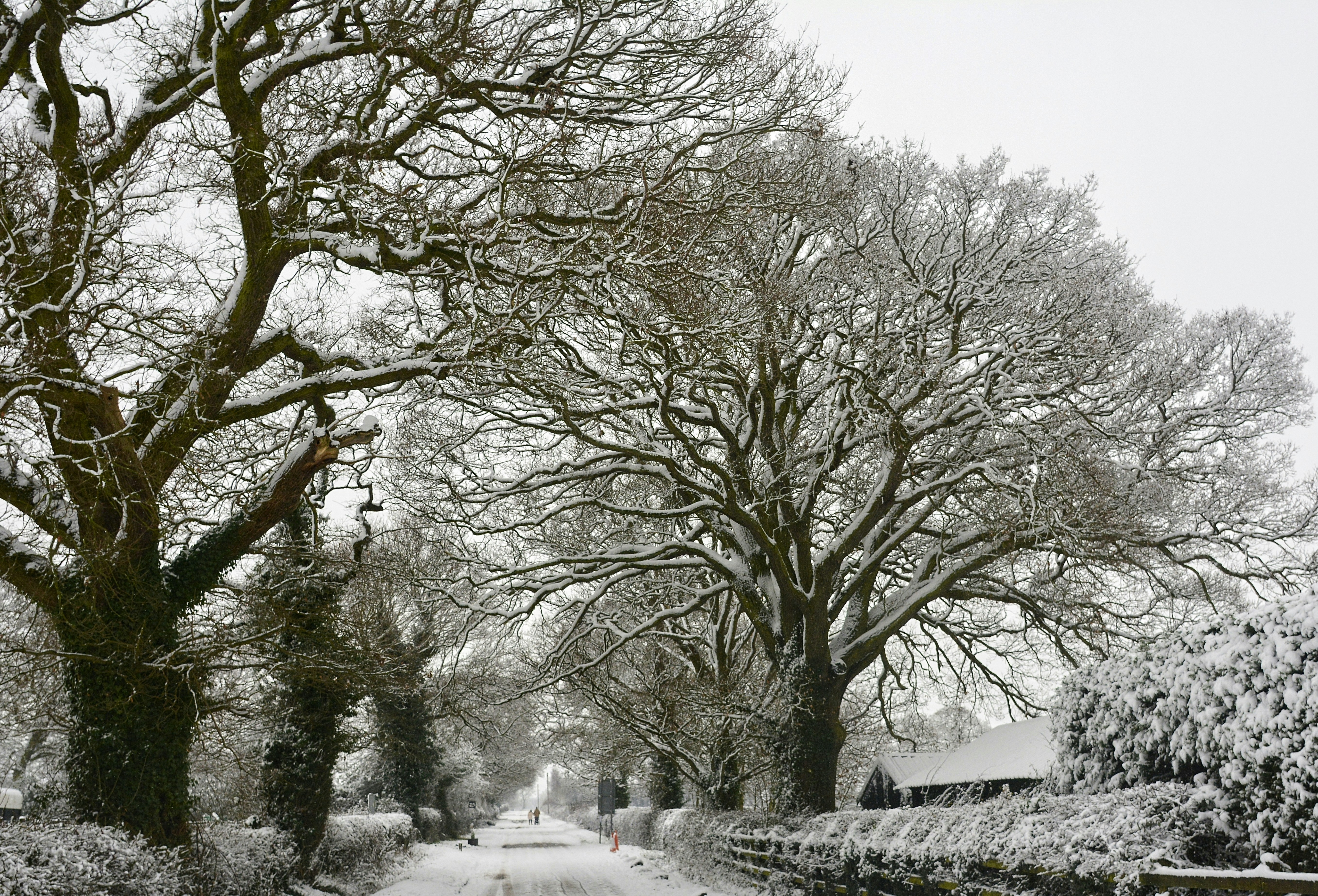 Snow Scene Pictures | Download Free Images on Unsplash