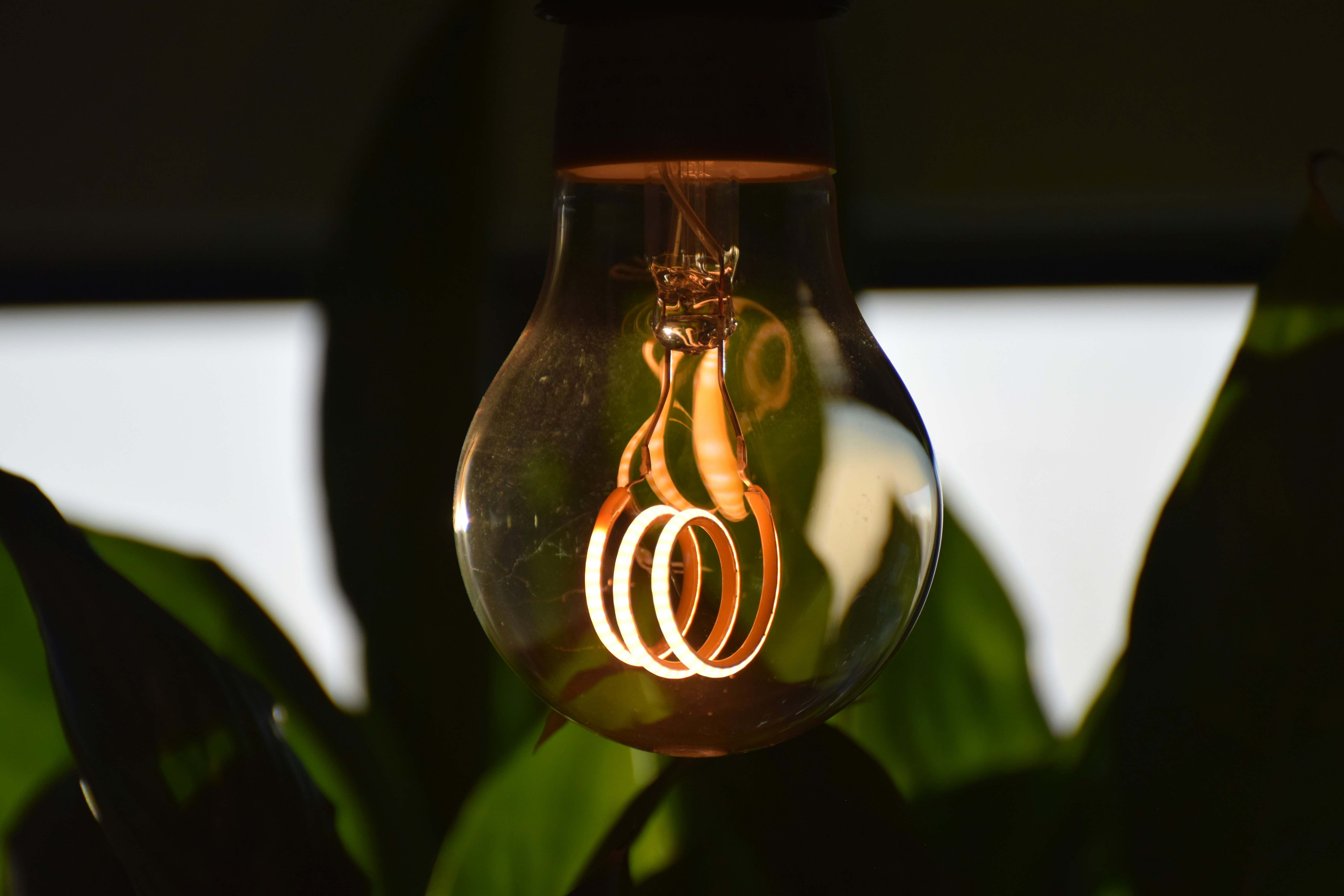 Orbits in Glass: Copper Rings Within a Dim Bulb