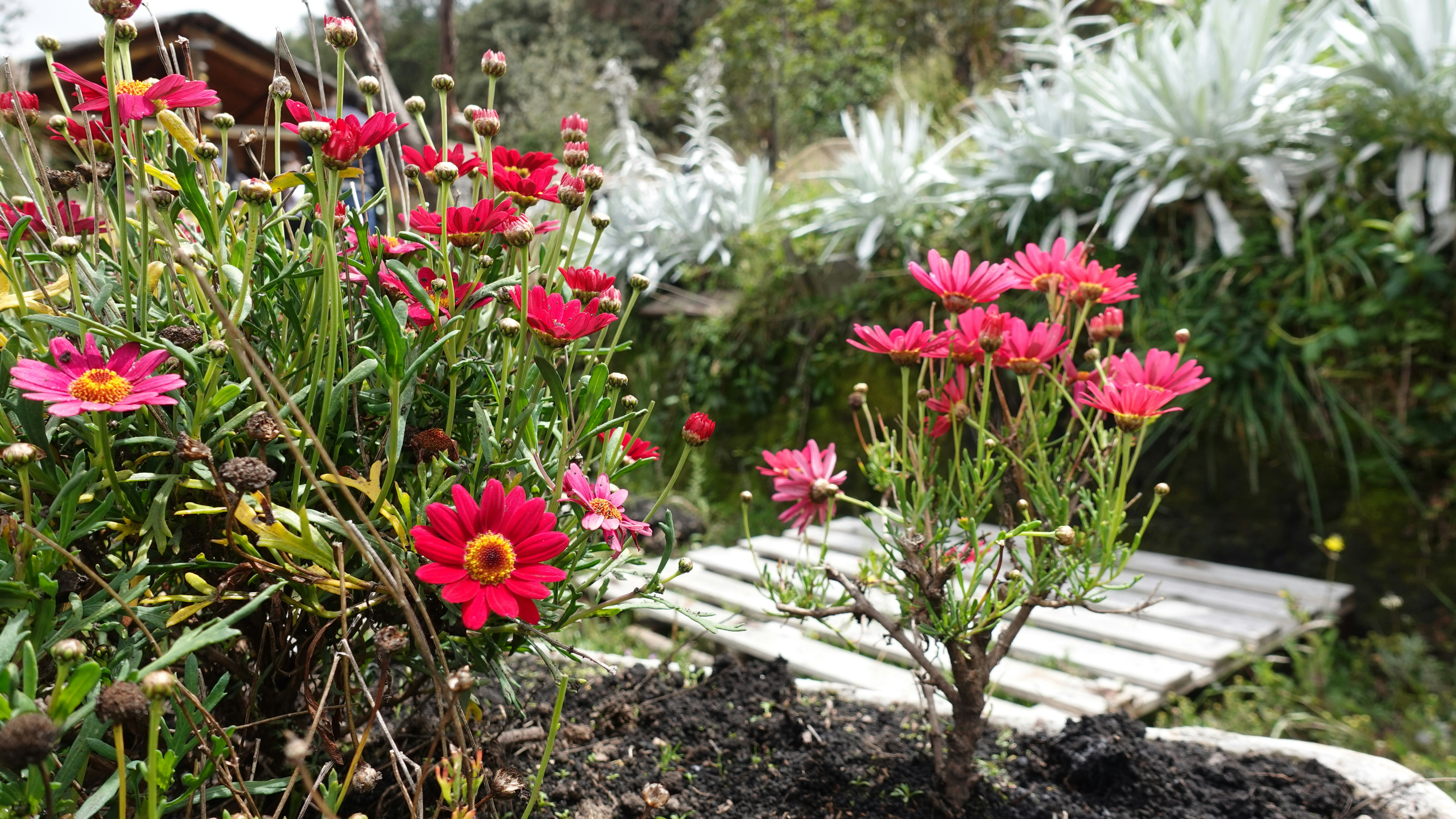 Alan García (@beck_sykes) | Unsplash 사진 커뮤니티