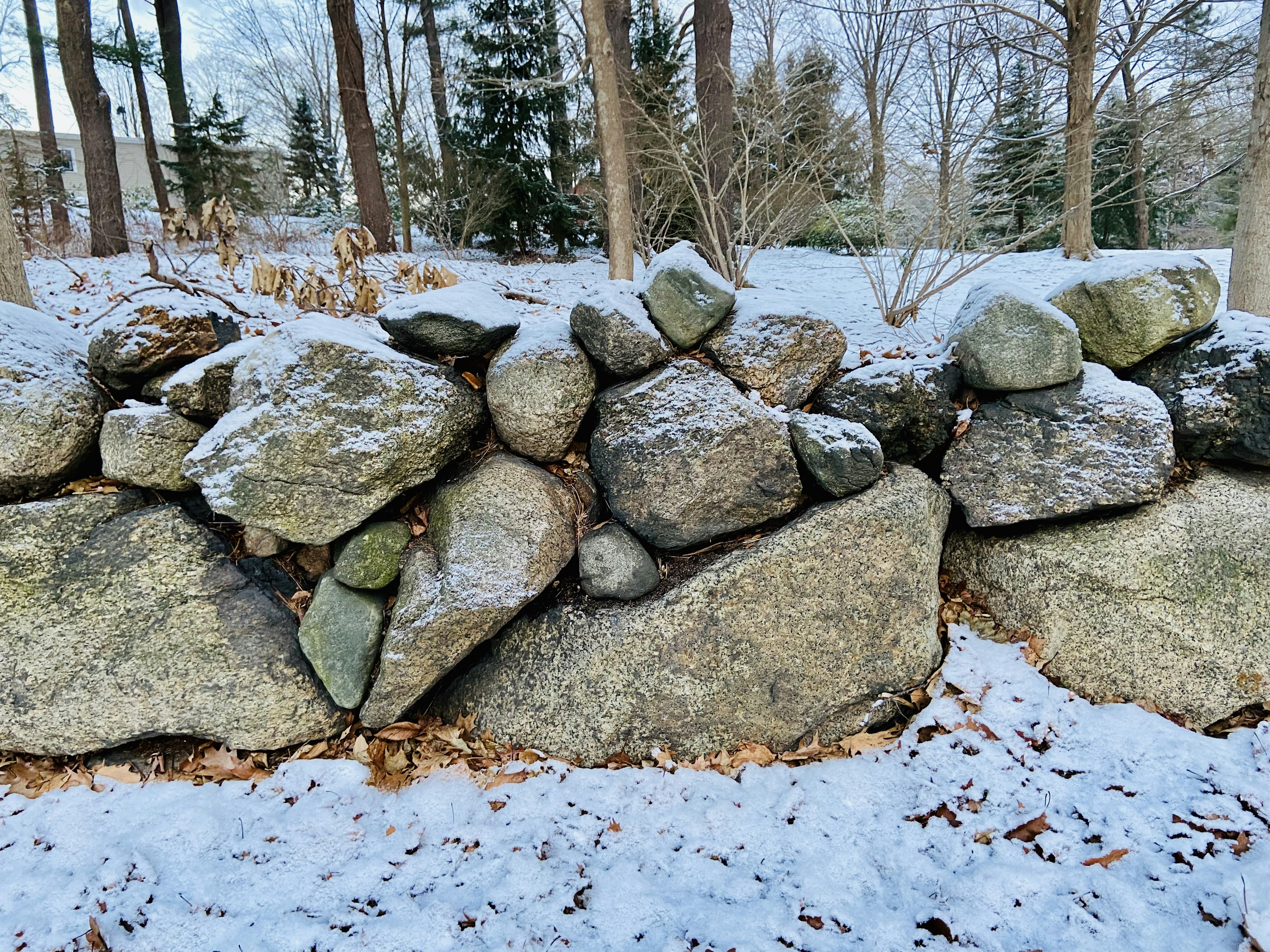 13. Walls - by Dr. Kathleen Waller