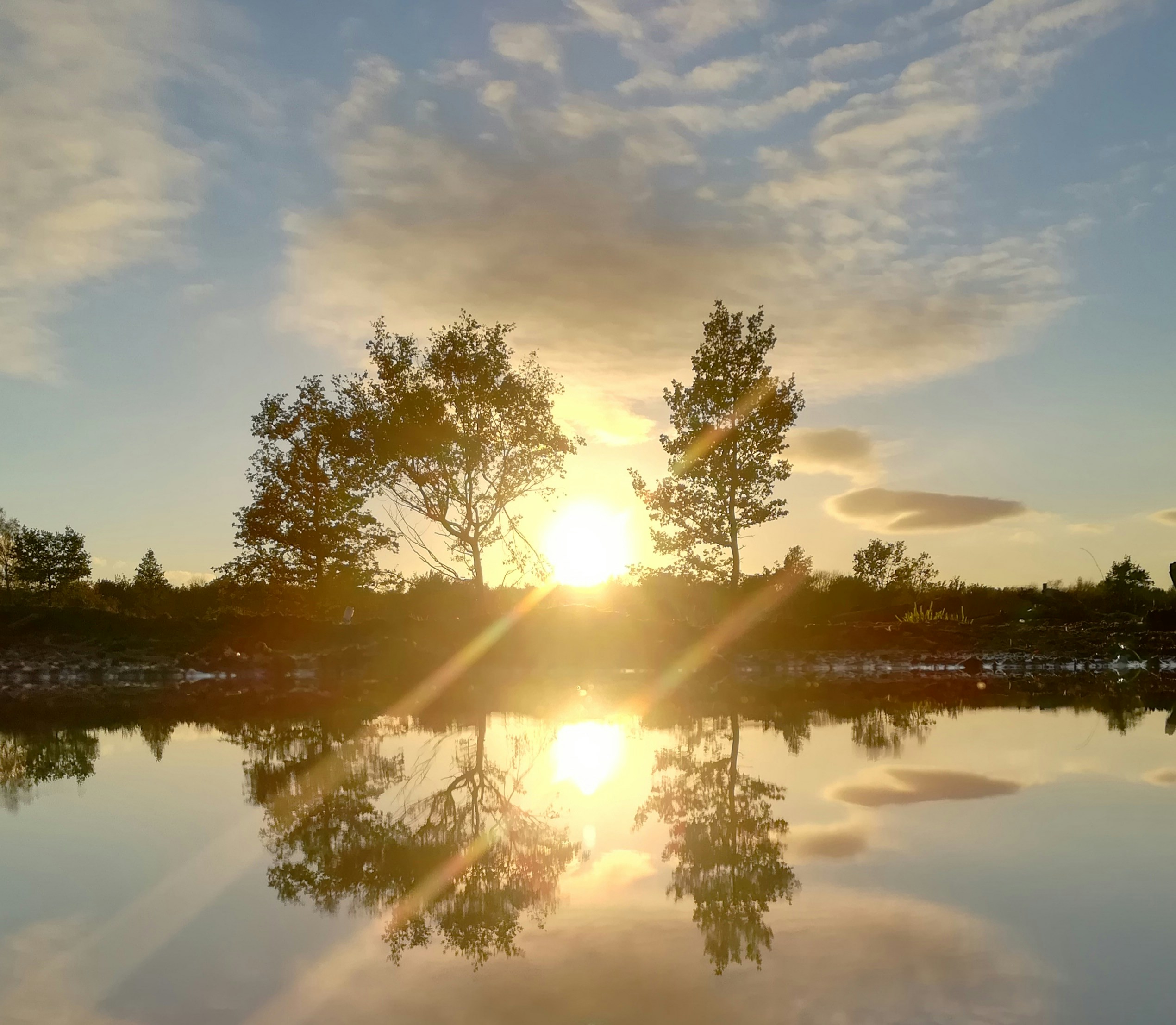 Sunset casting golden hues over a tranquil pond, with silhouetted trees framing the scene. Reflections create a harmonious balance in the composition.