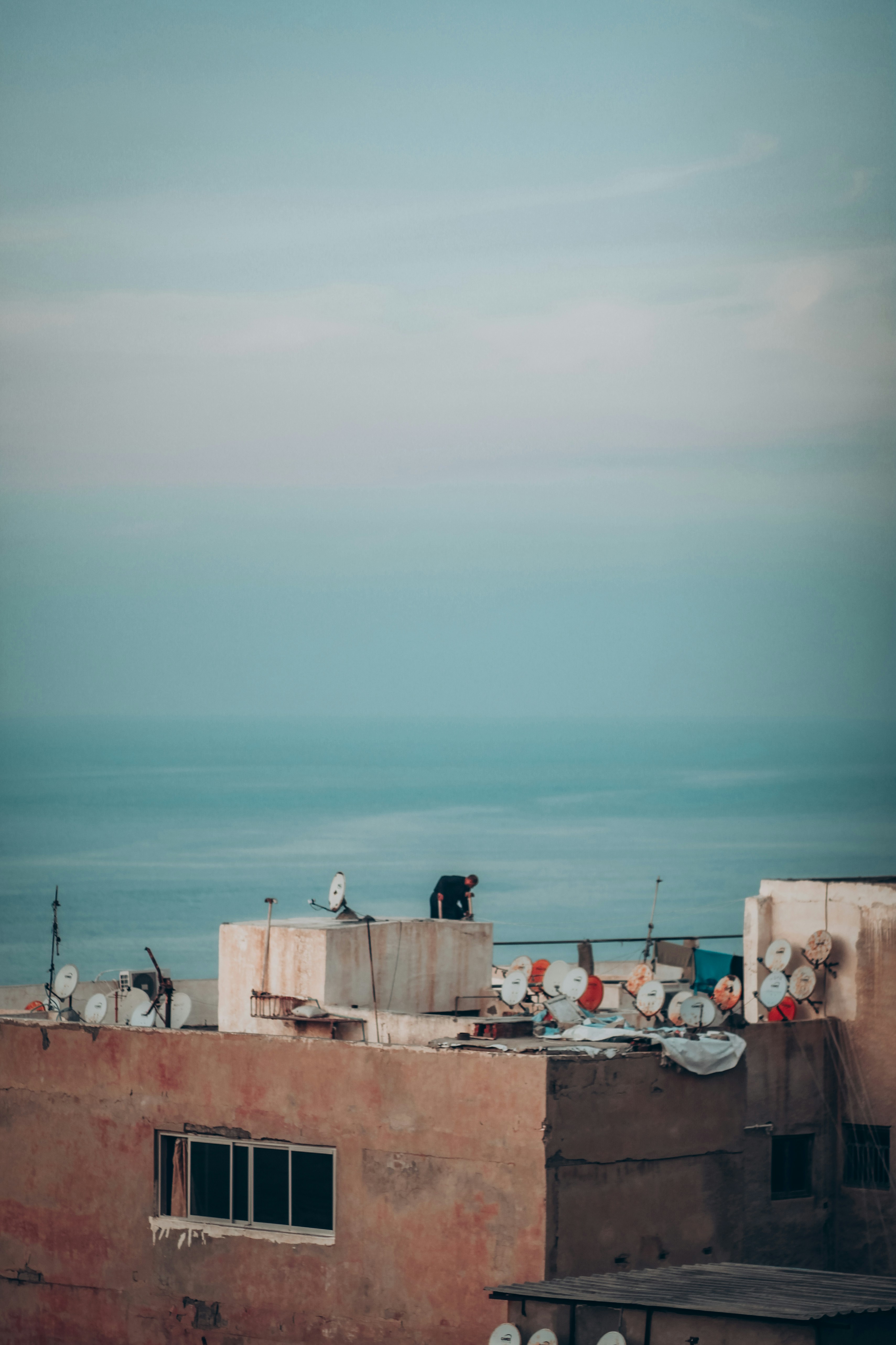 Rooftop Satellite Garden Against a Calm Sea Horizon