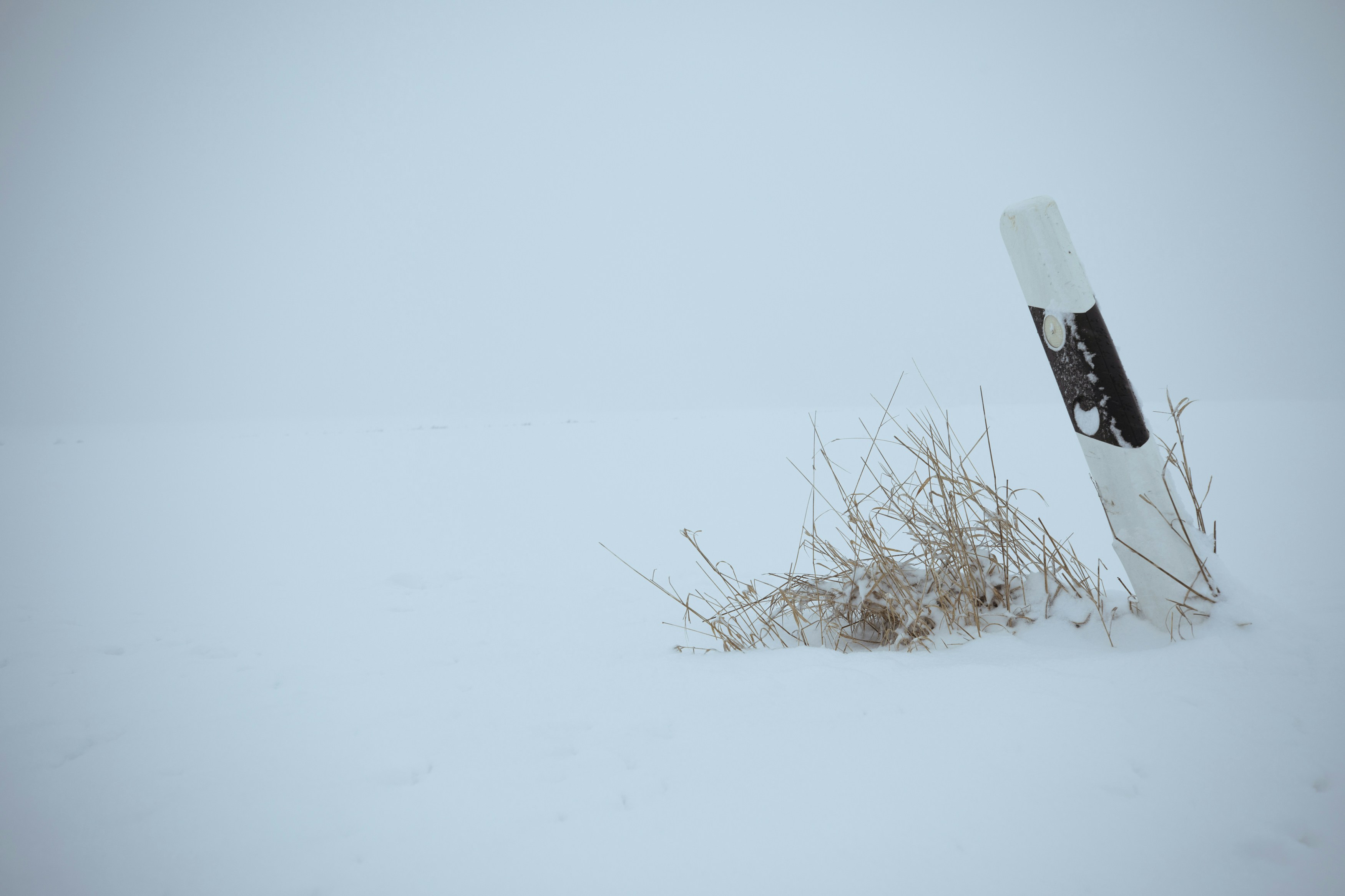 Leaning Signpost in a Quiet Snowfield
