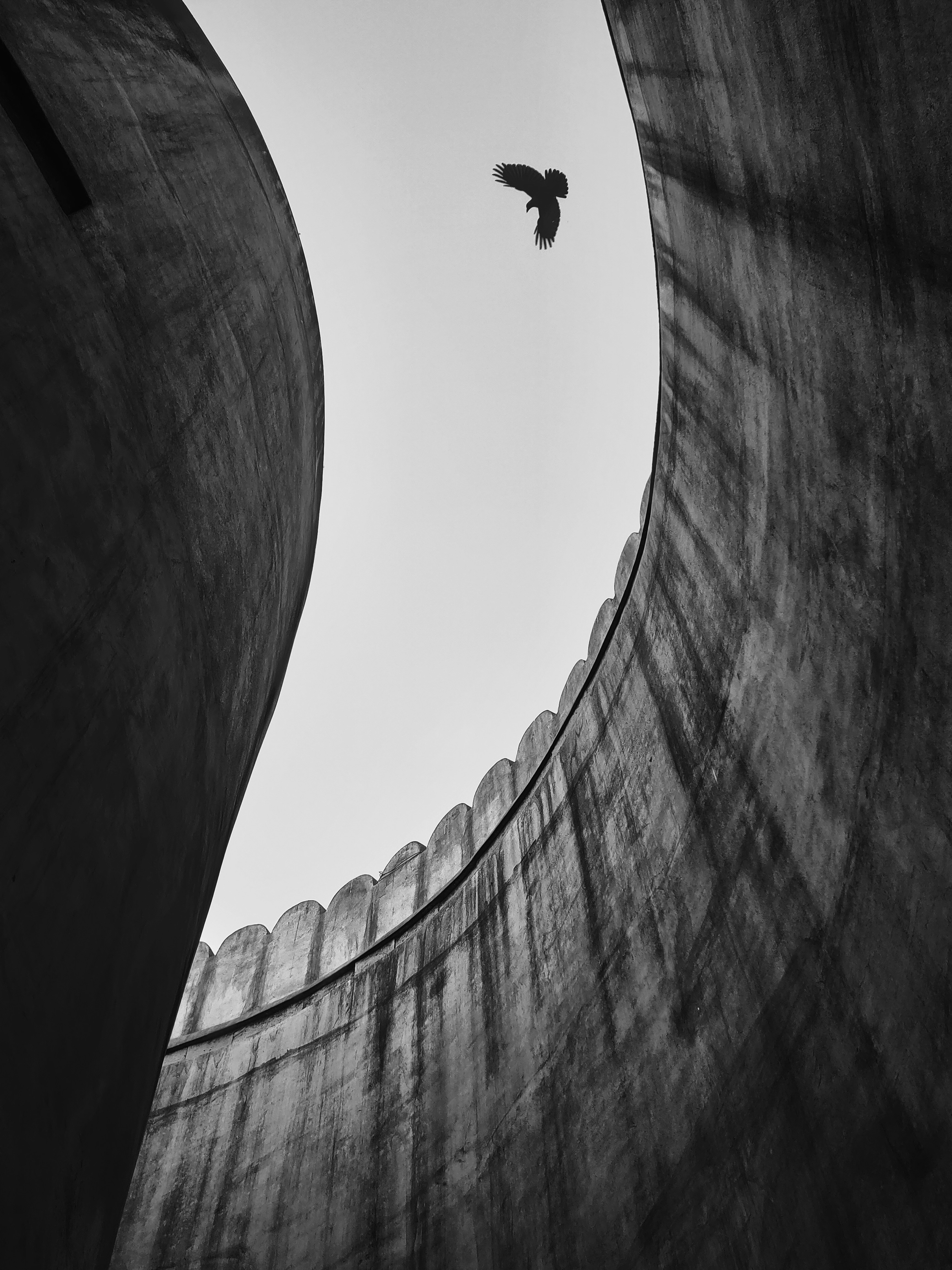 A bird soars above a circular concrete structure, framed by its towering walls. The monochrome tones enhance the dramatic contrast between the bird and the sky.