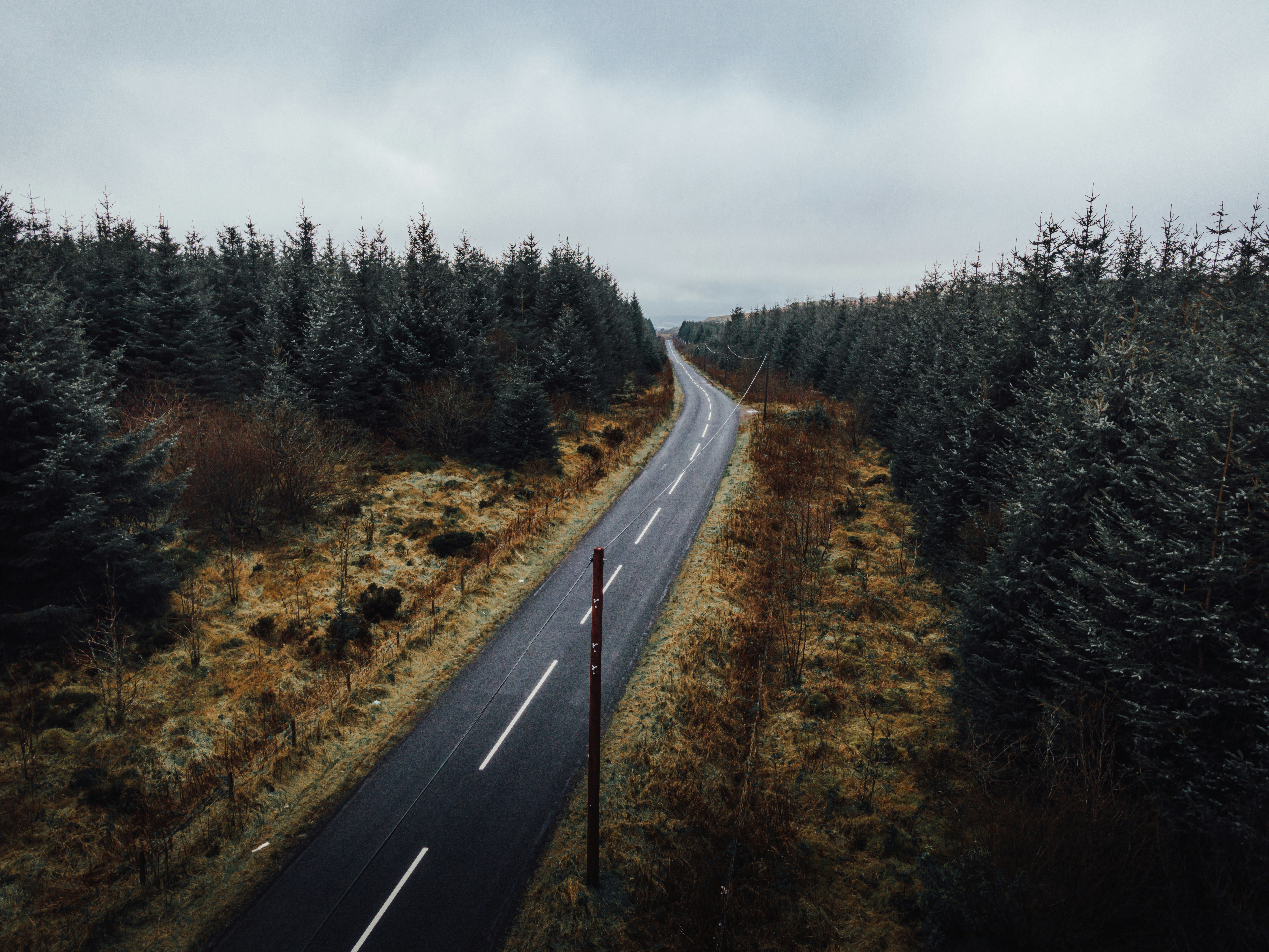 Gray asphalt road between green trees under gray sky during daytime ...