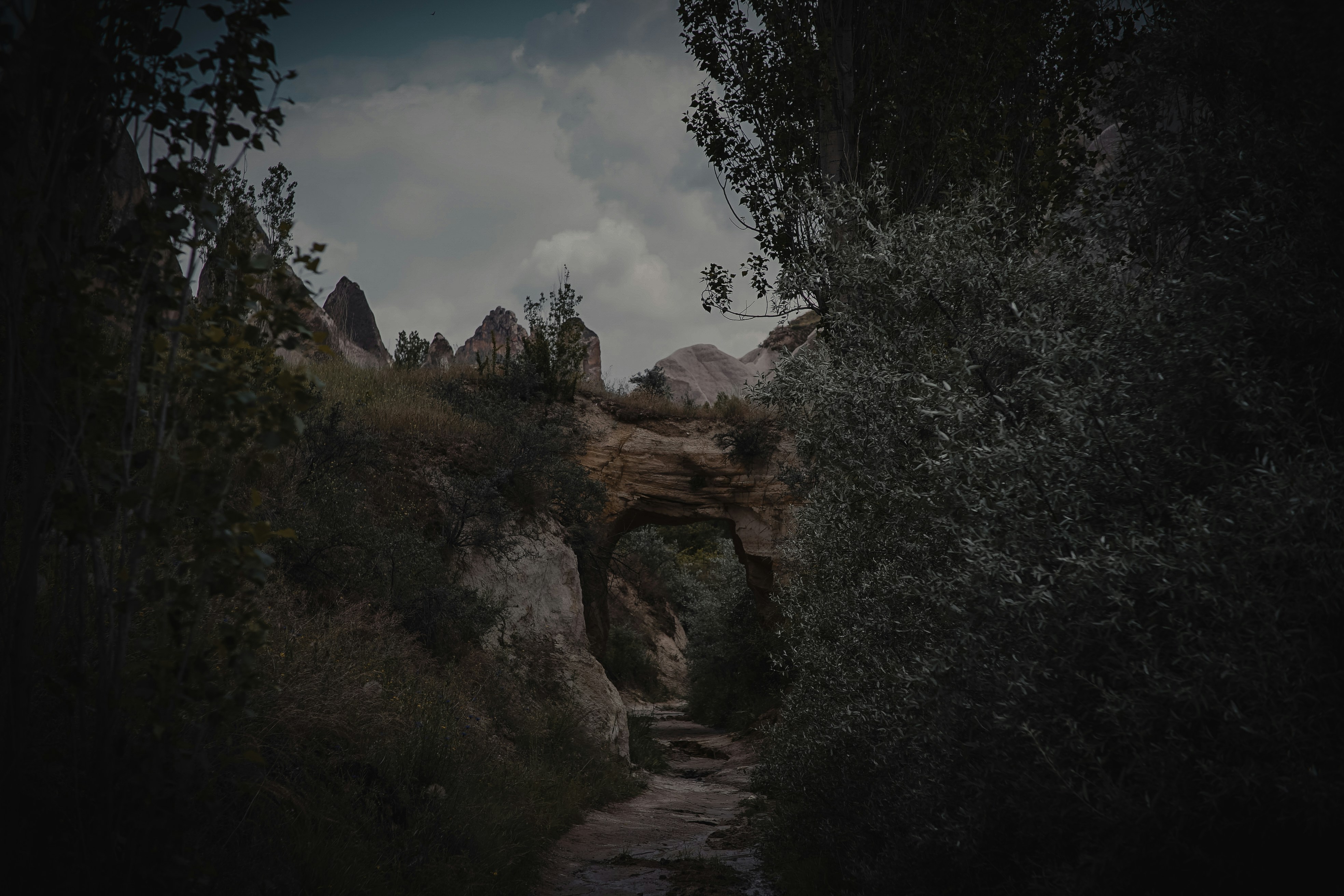 Gateway of Dusk: A Stone Arch Framed by Shadowed Foliage