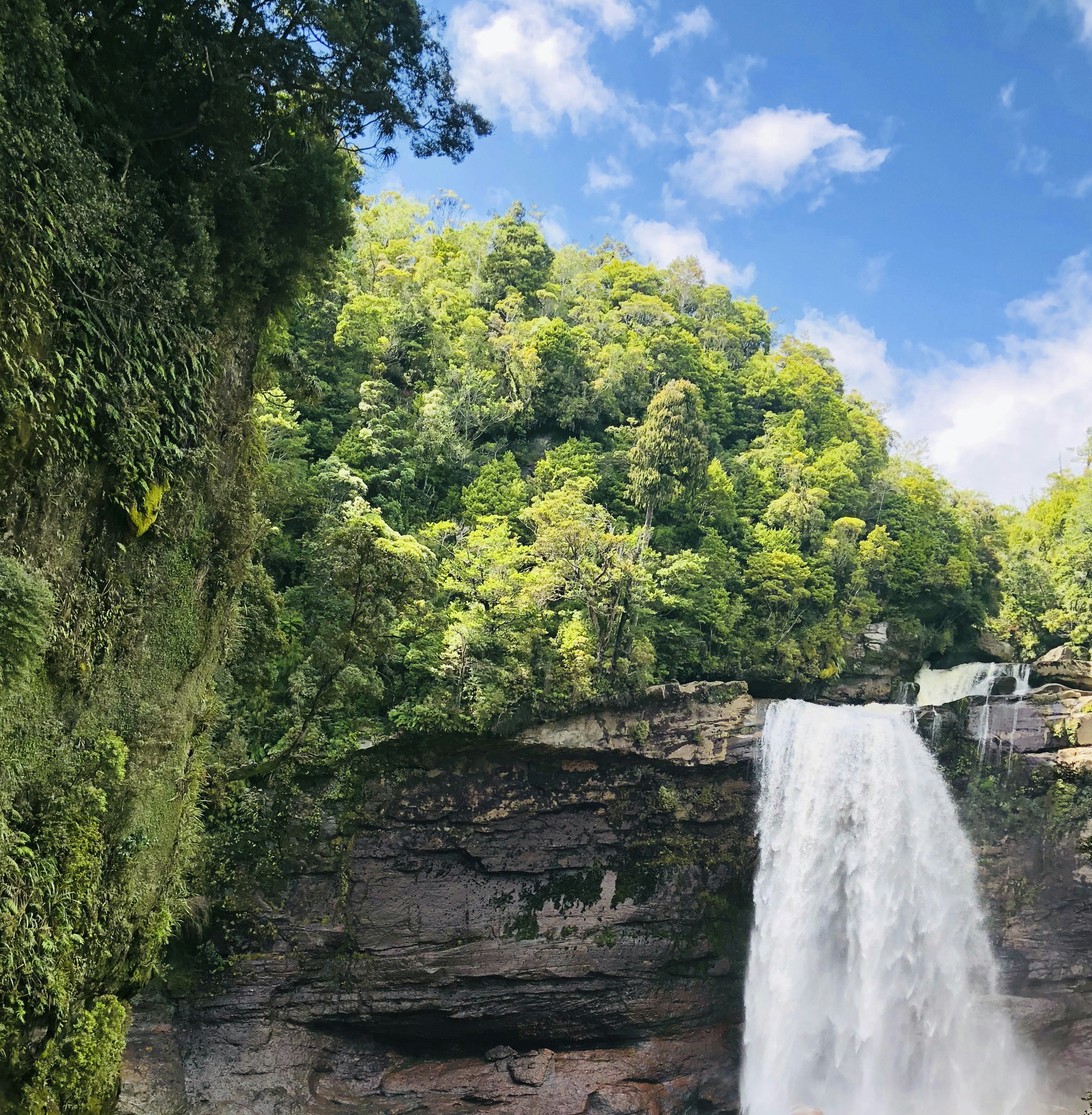 waterfalls in the middle of green trees during daytime