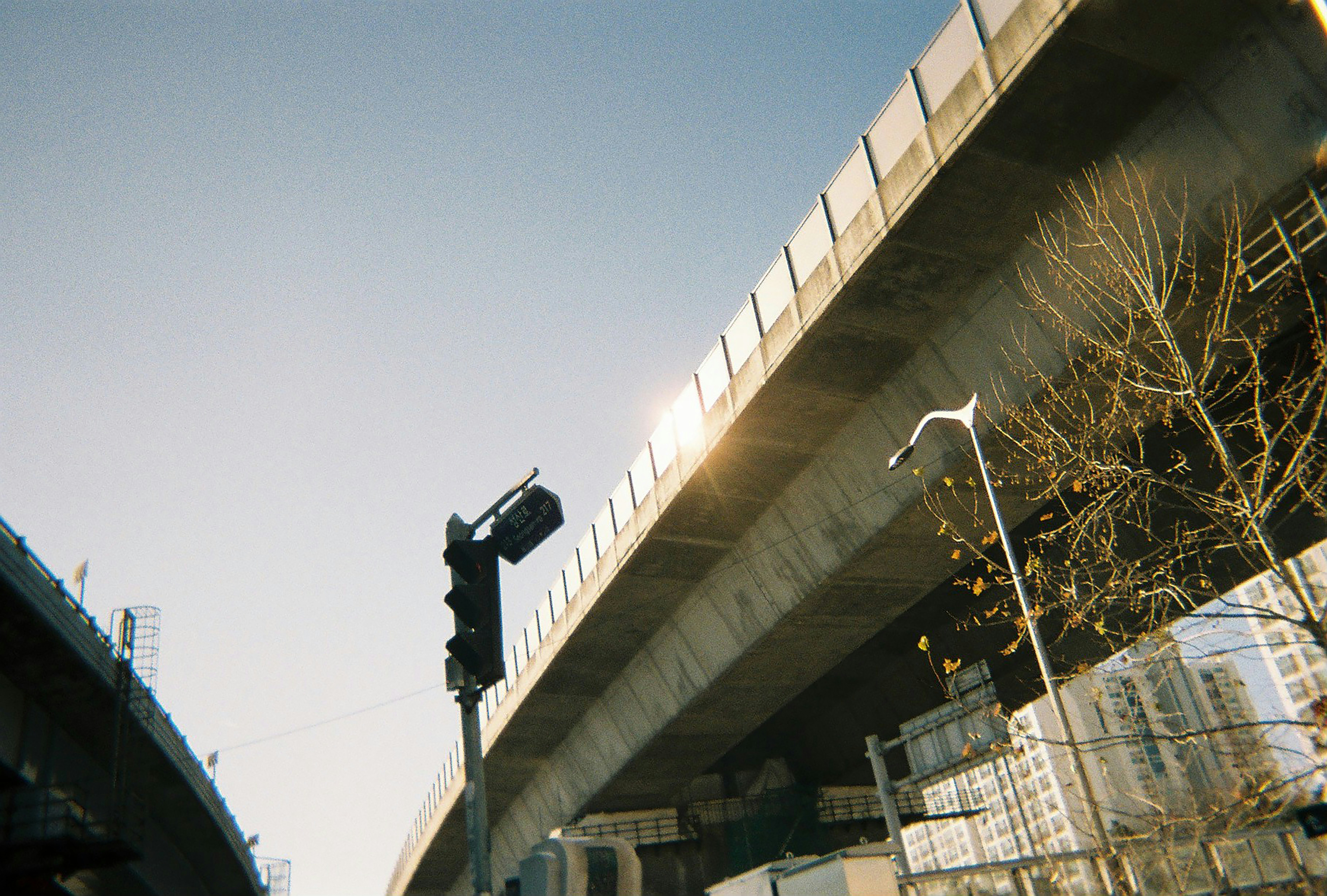 A view from below an overpass, capturing the interplay of sunlight and shadows with urban elements like traffic lights and trees.