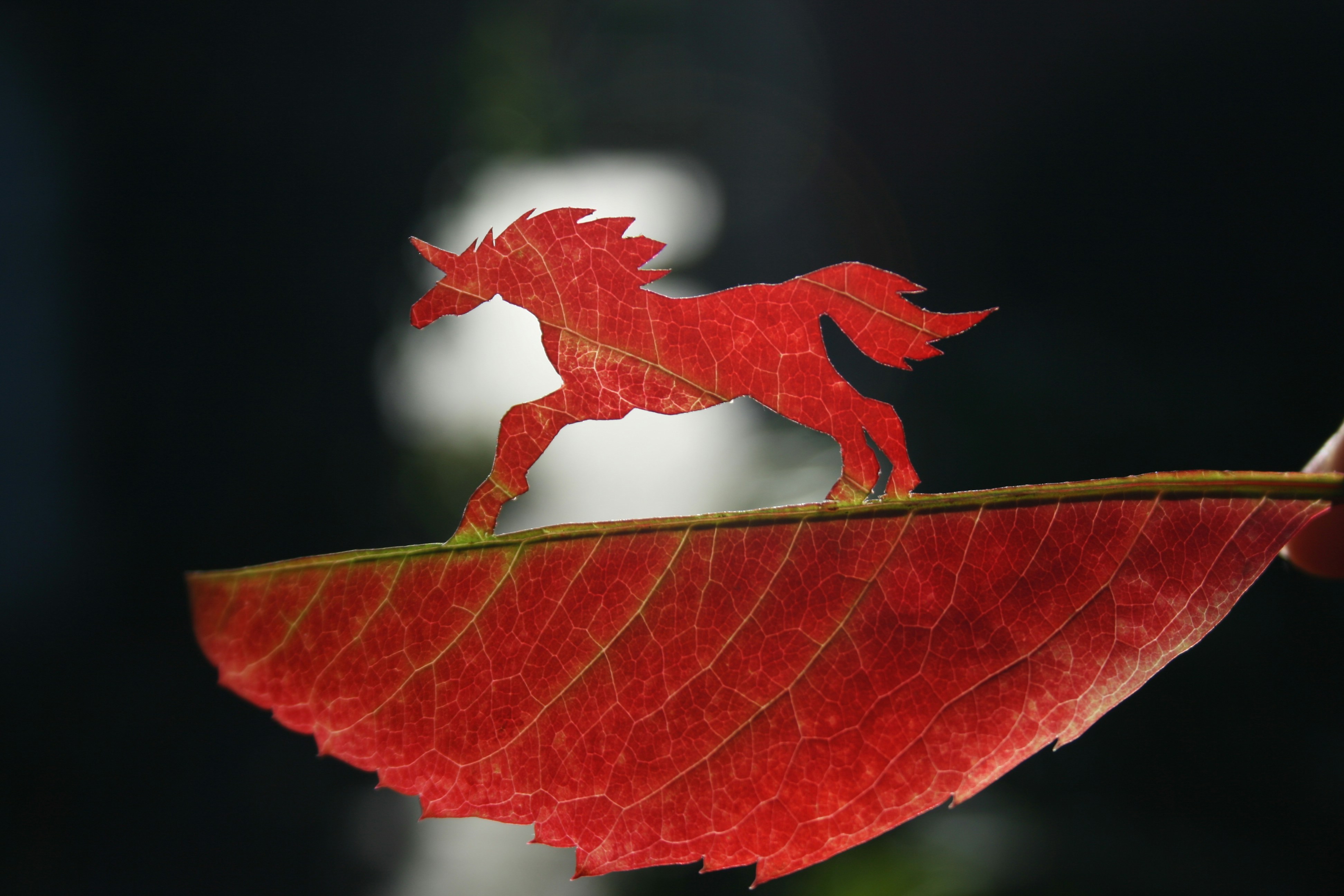 A vibrant red leaf with a silhouette of a unicorn cutout, delicately balanced, creating a playful contrast against a blurred background.