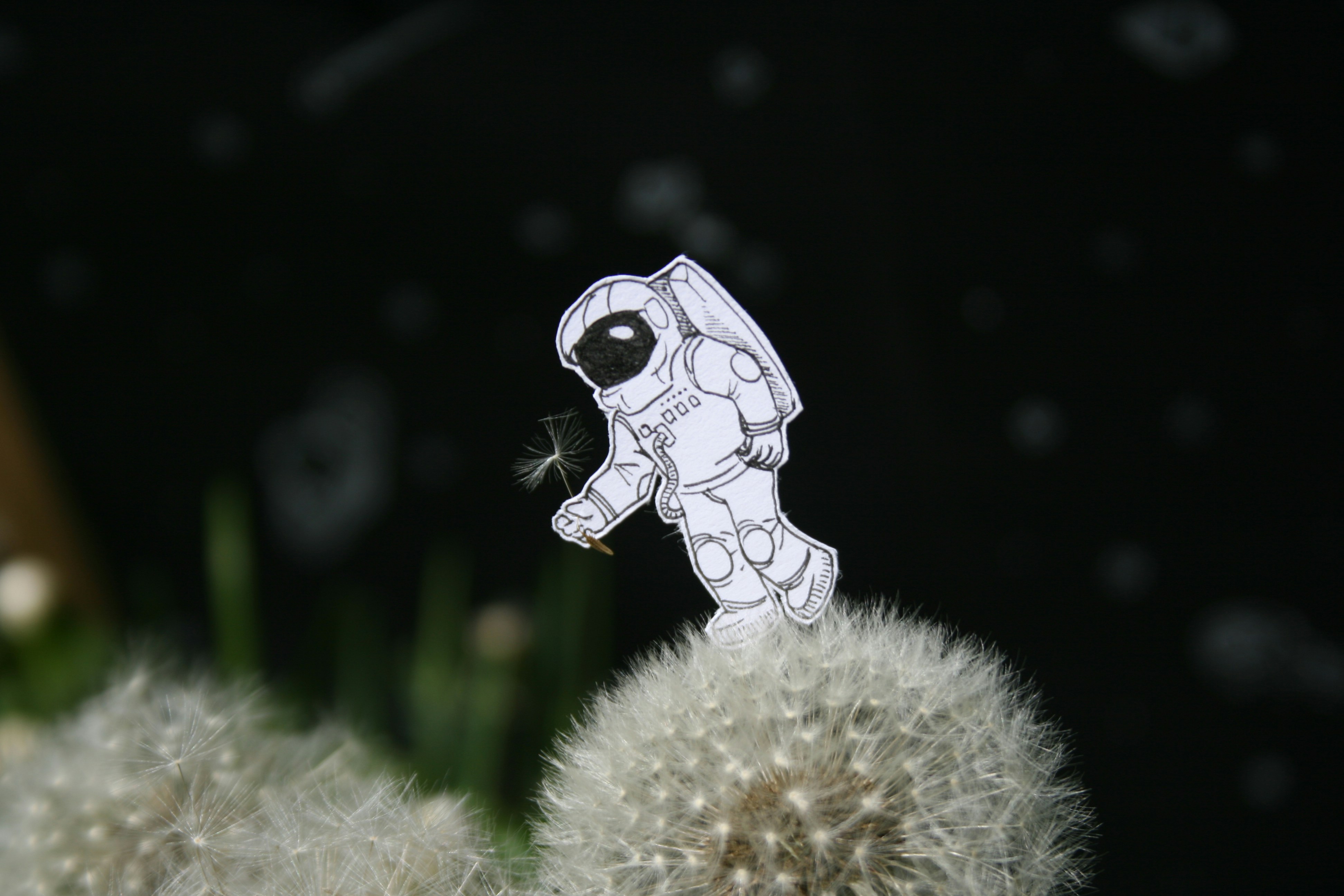 Photo by Barbara Krysztofiak with Canon EOS 400D