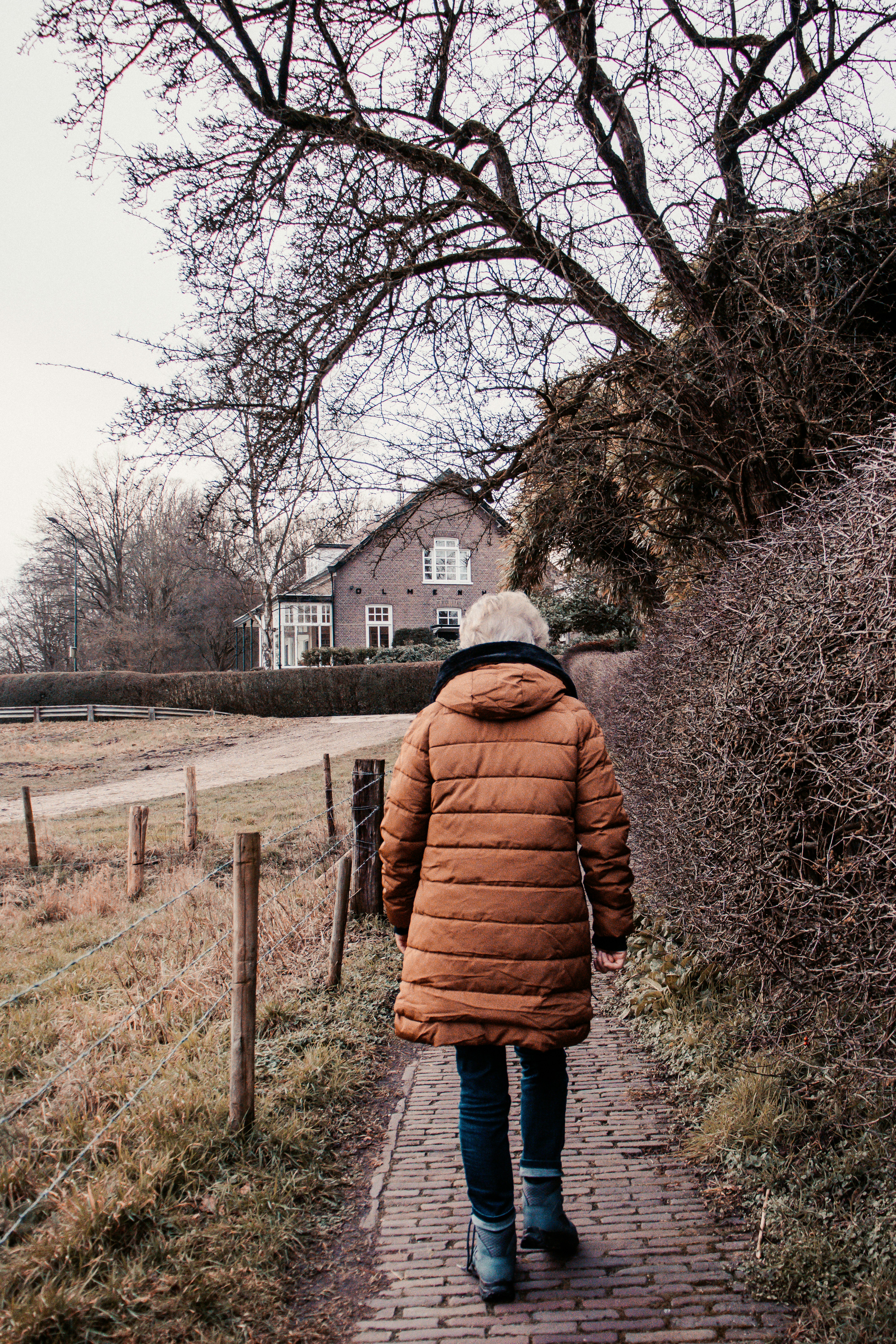 Old women walking through nature. | person in brown jacket standing near bare trees during daytime