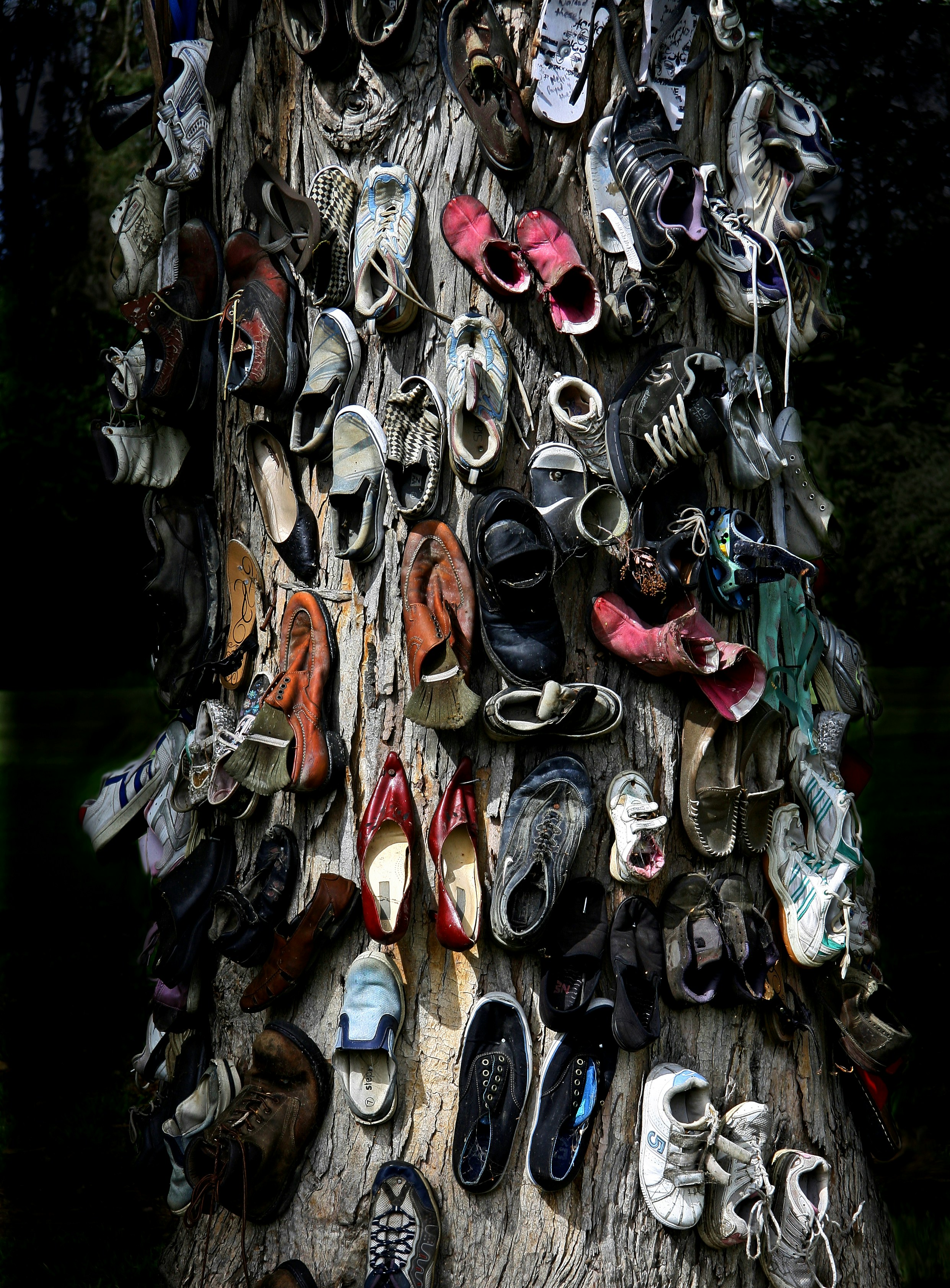 Sole Chorus: A Tree Dressed in Wanderers' Shoes