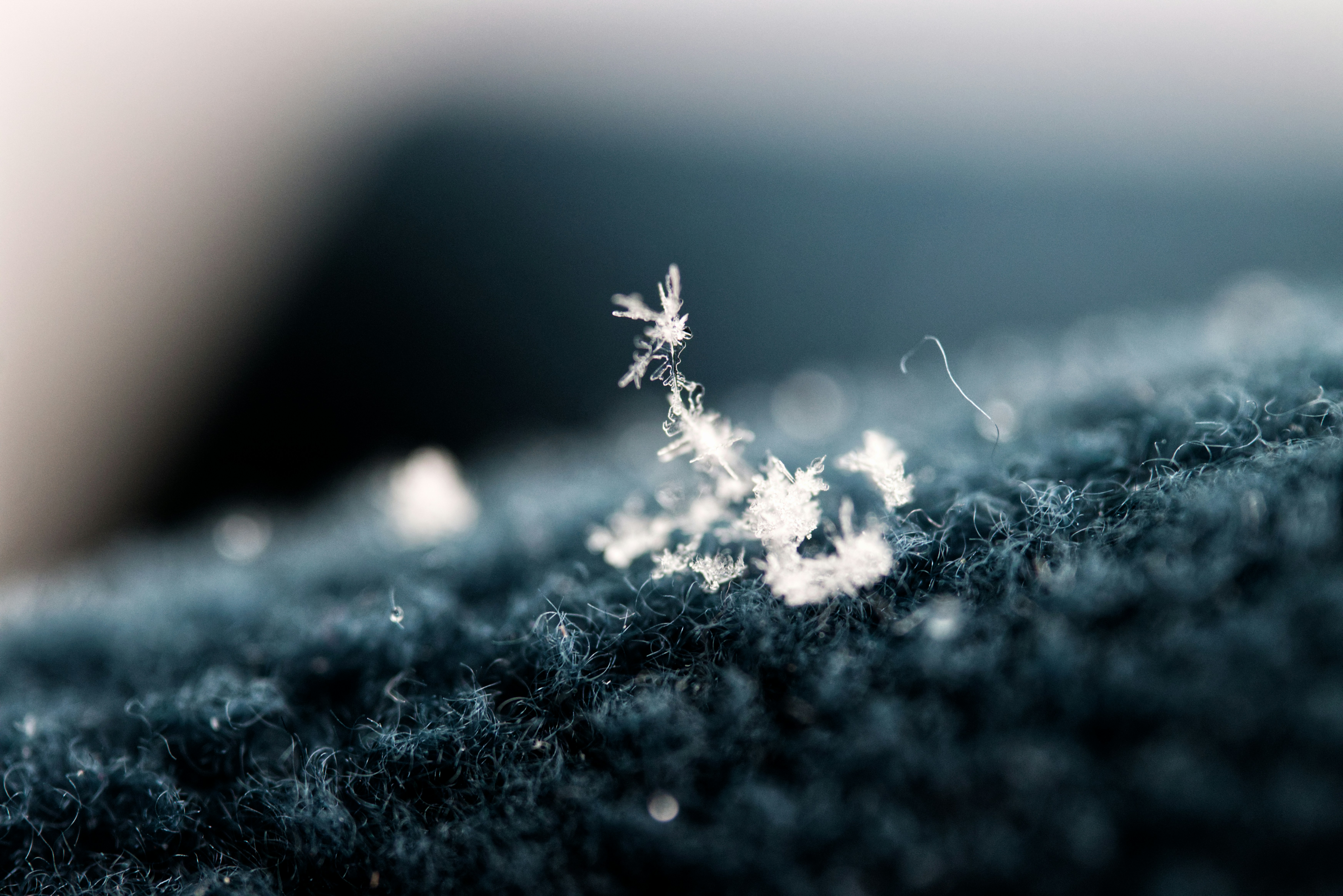 Snowflake Background Images: 900+ Free Images on Unsplash