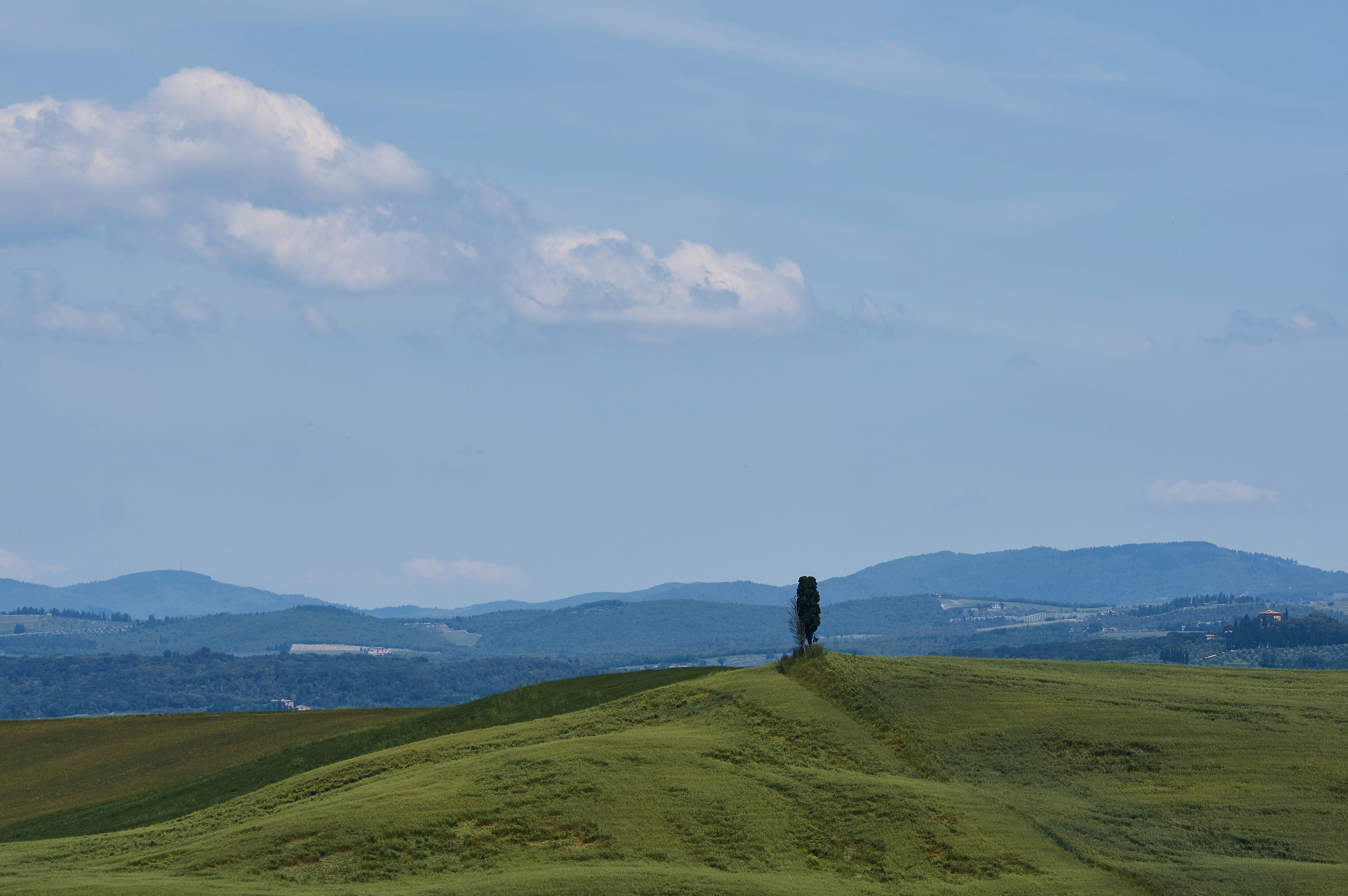 The Crest's Solitary Sentinel