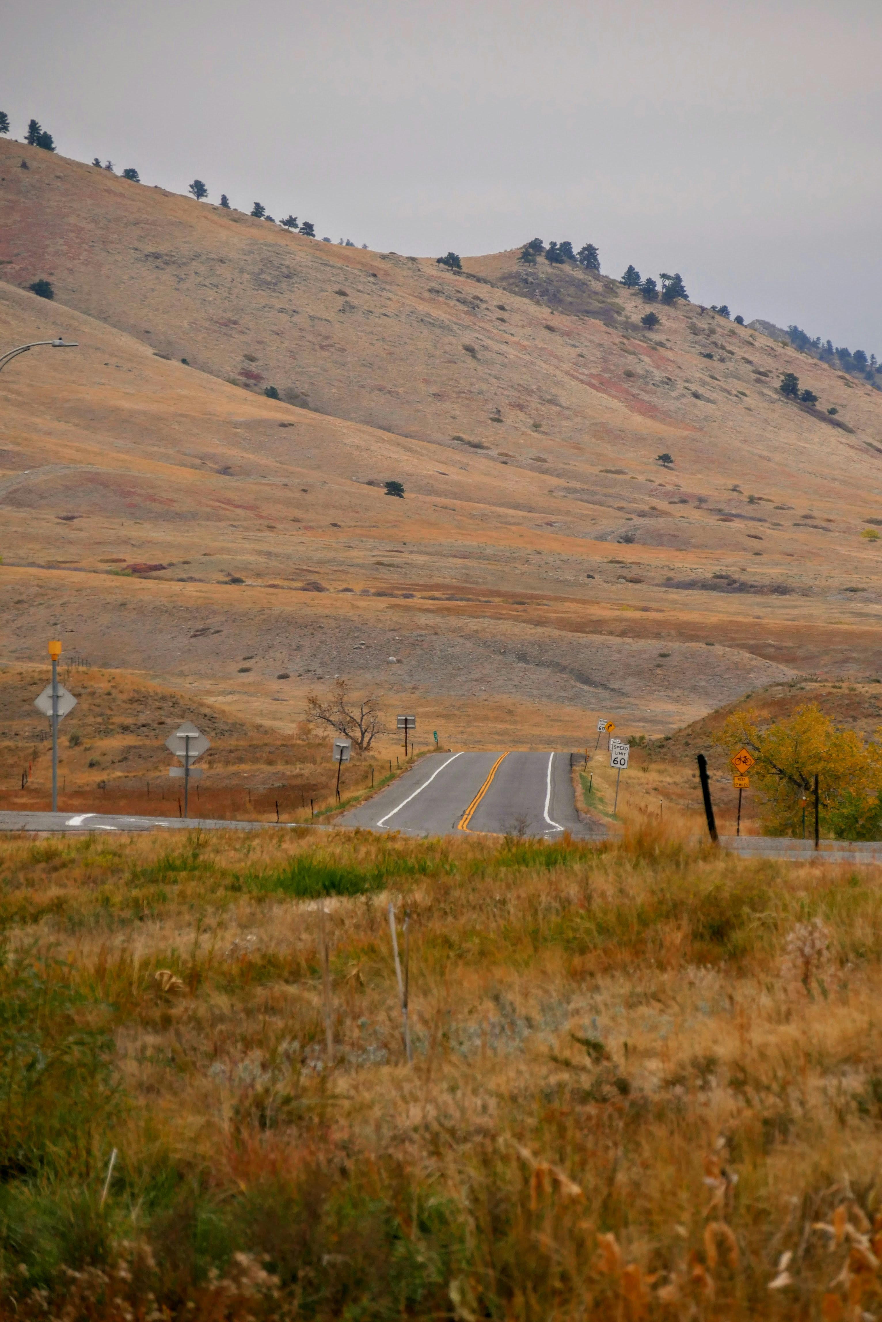 Lonely Highway Wedges Through Autumn Hills