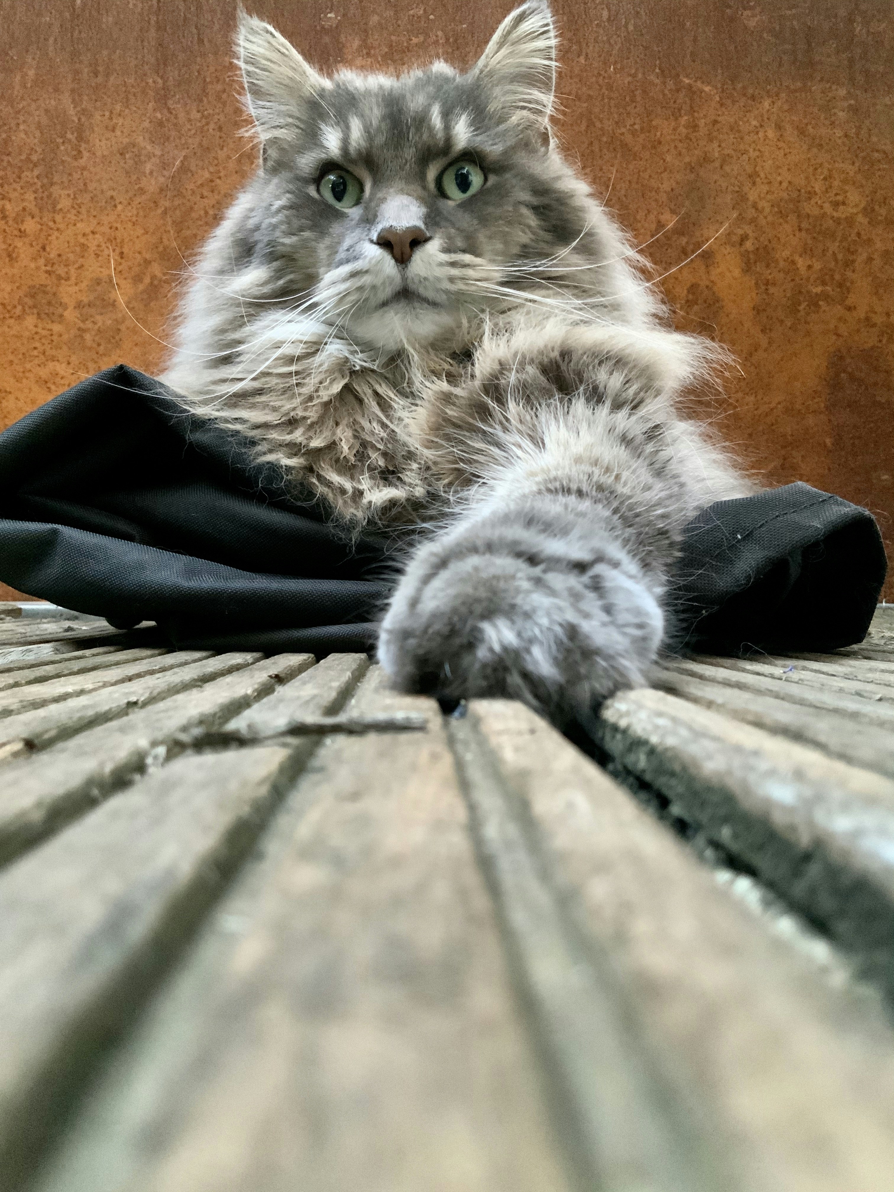 Ingrid Ensing (@ingridensing) | Unsplashフォトコミュニティ