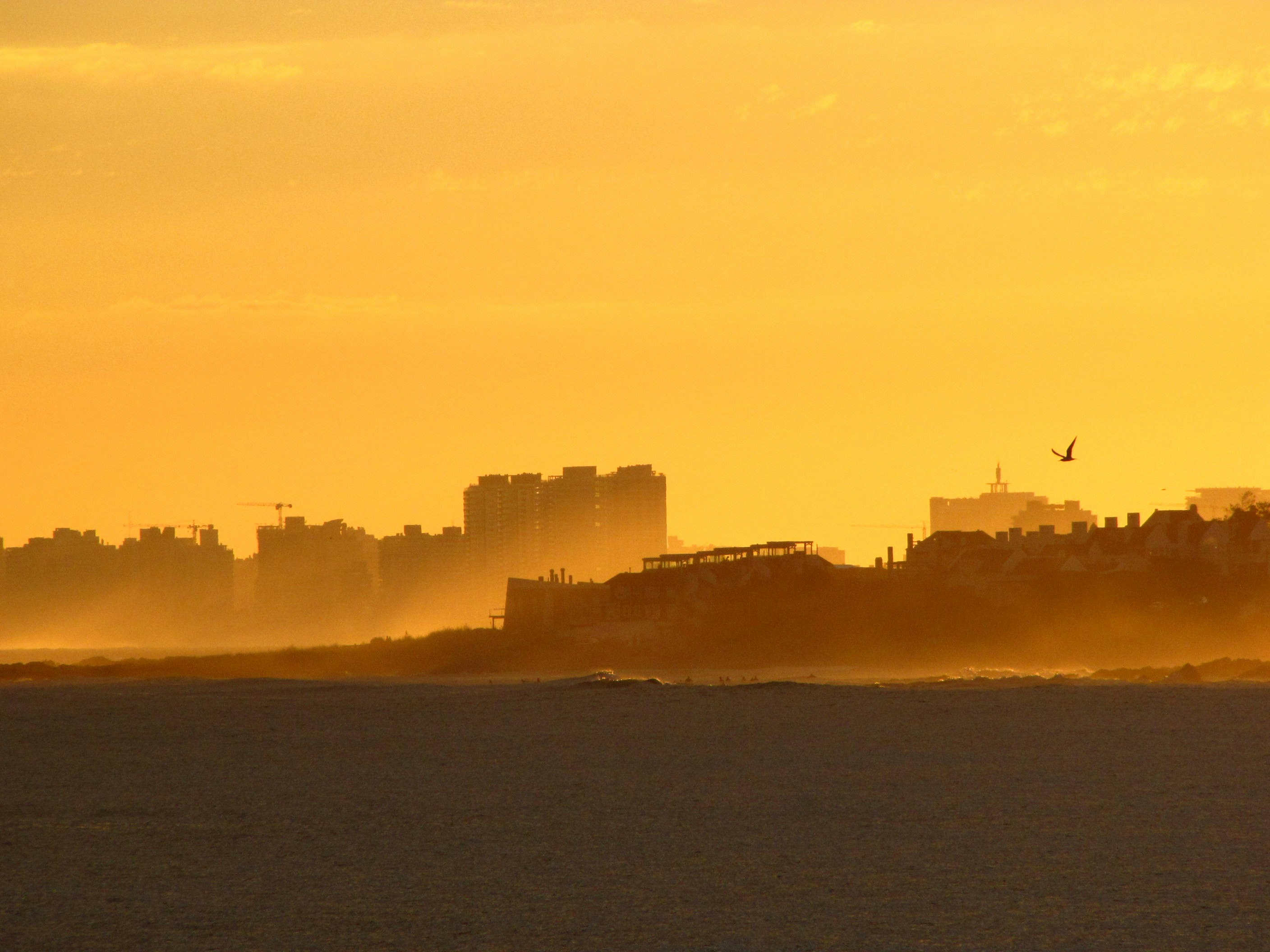 Silhouetted city skyline against a golden sunset, with soft mist rising from the water's surface. A solitary bird glides through the warm hues.