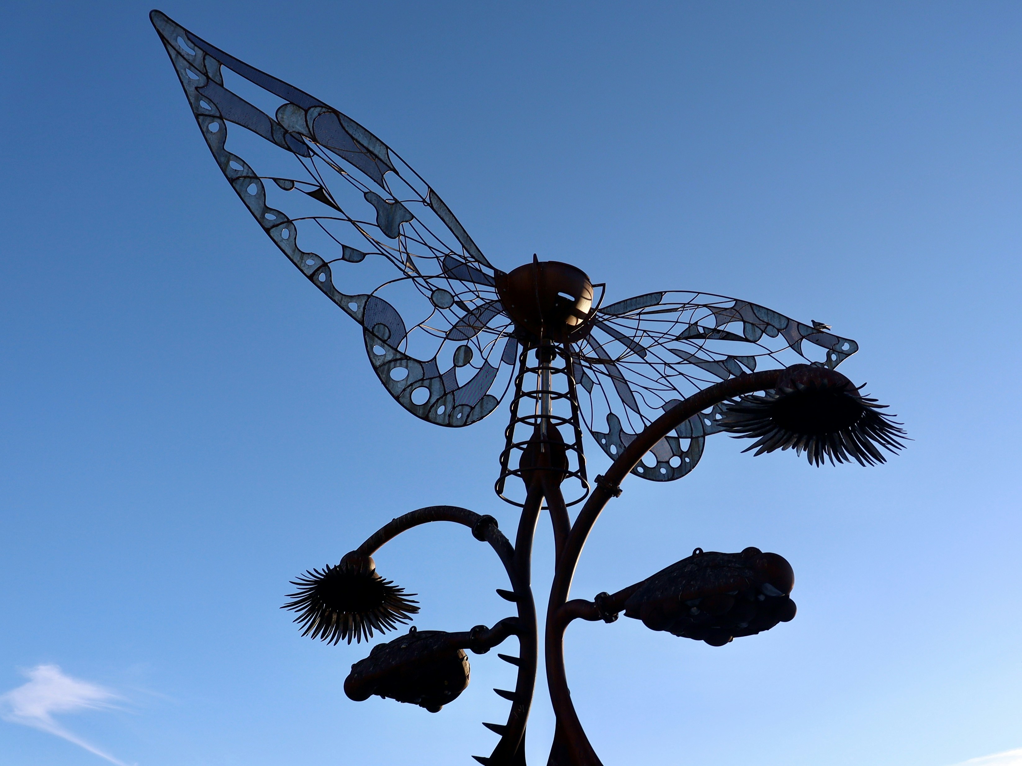 Cerulean Sky Sentinel: Glass-Wing Dragonfly Perched on a Winding Stem
