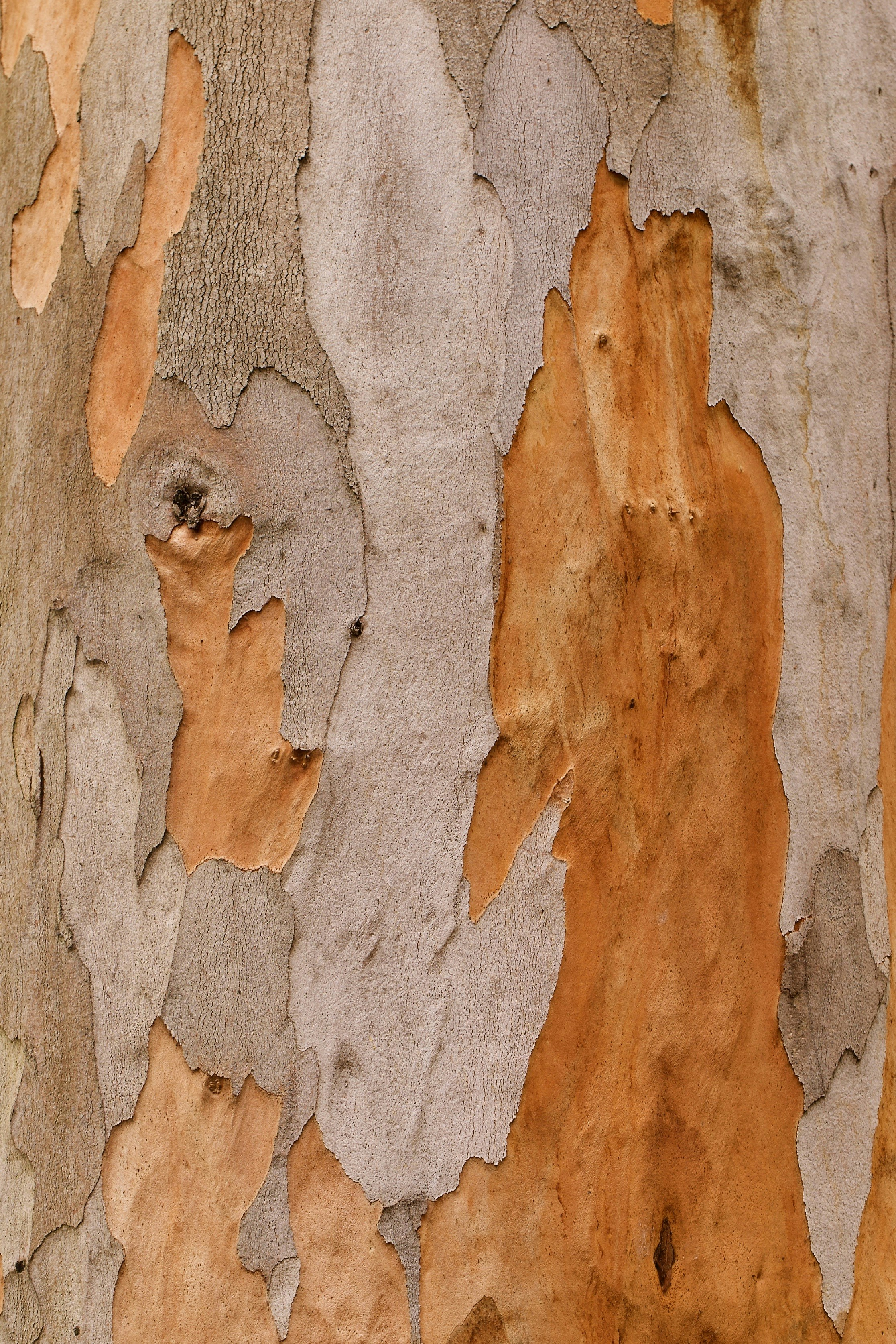 Photo by James Wainscoat