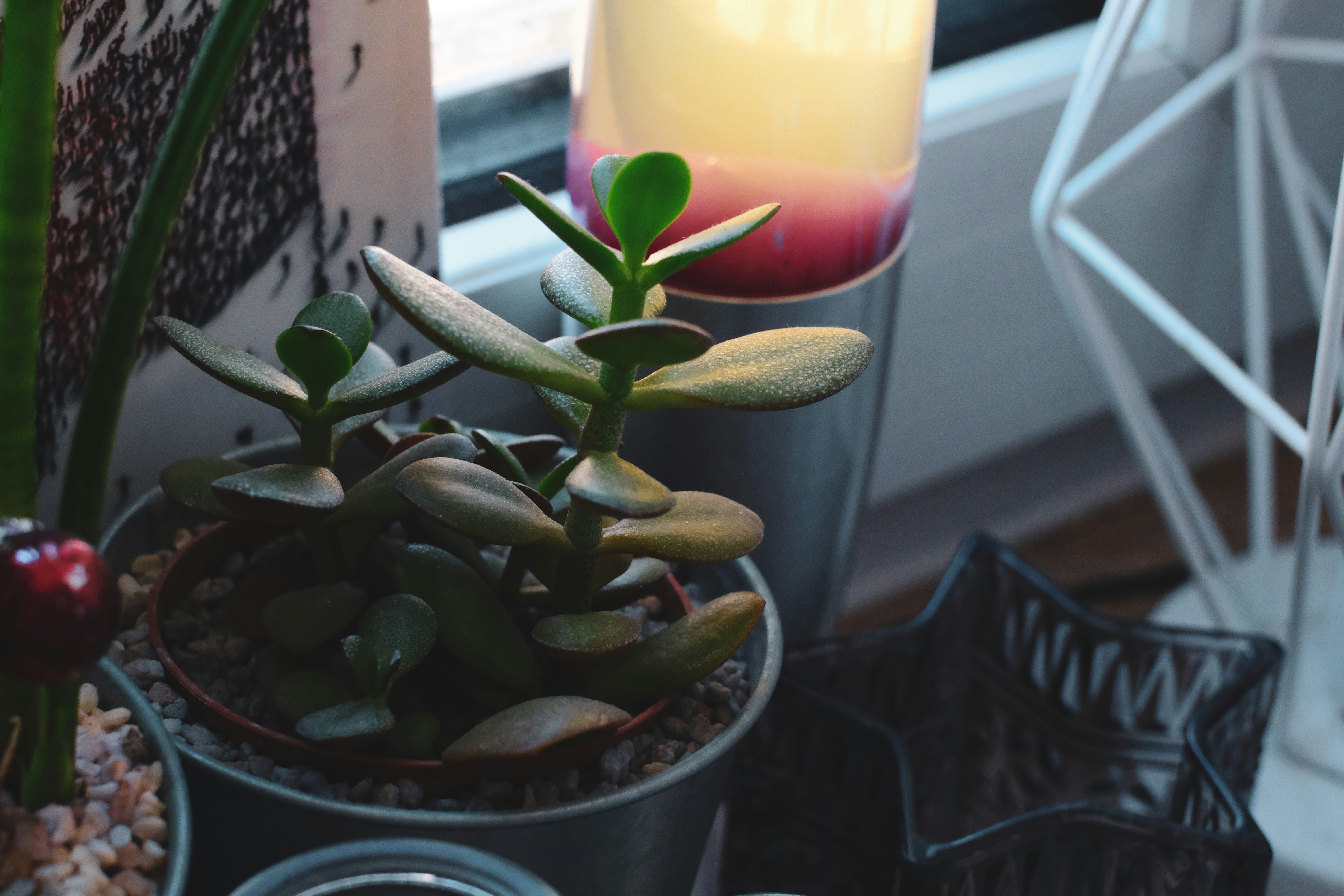 500+ Low Contrast Pictures | Download Free Images on Unsplash