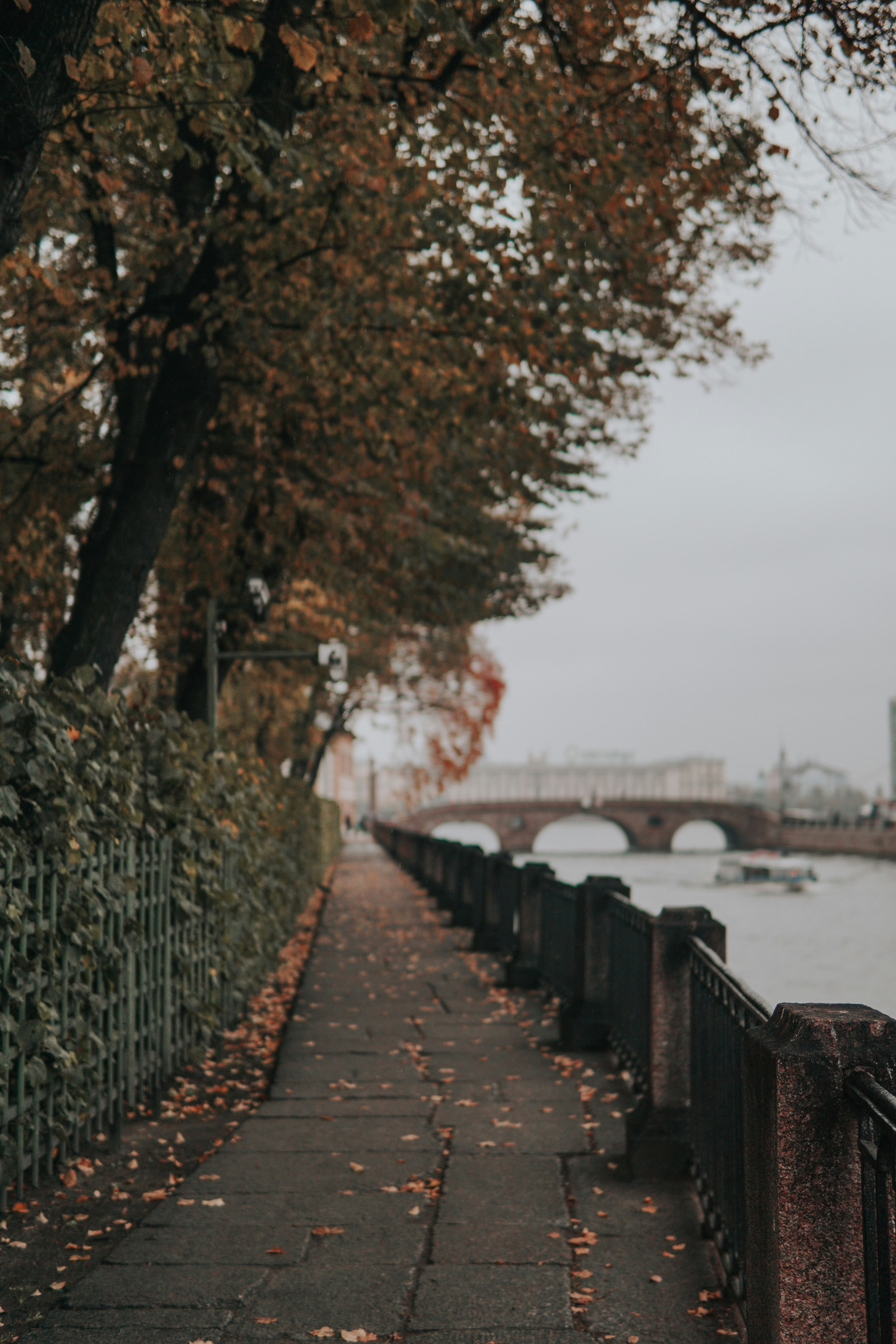 Autumn Riverside Promenade: A Quiet Path Toward a Distant Bridge