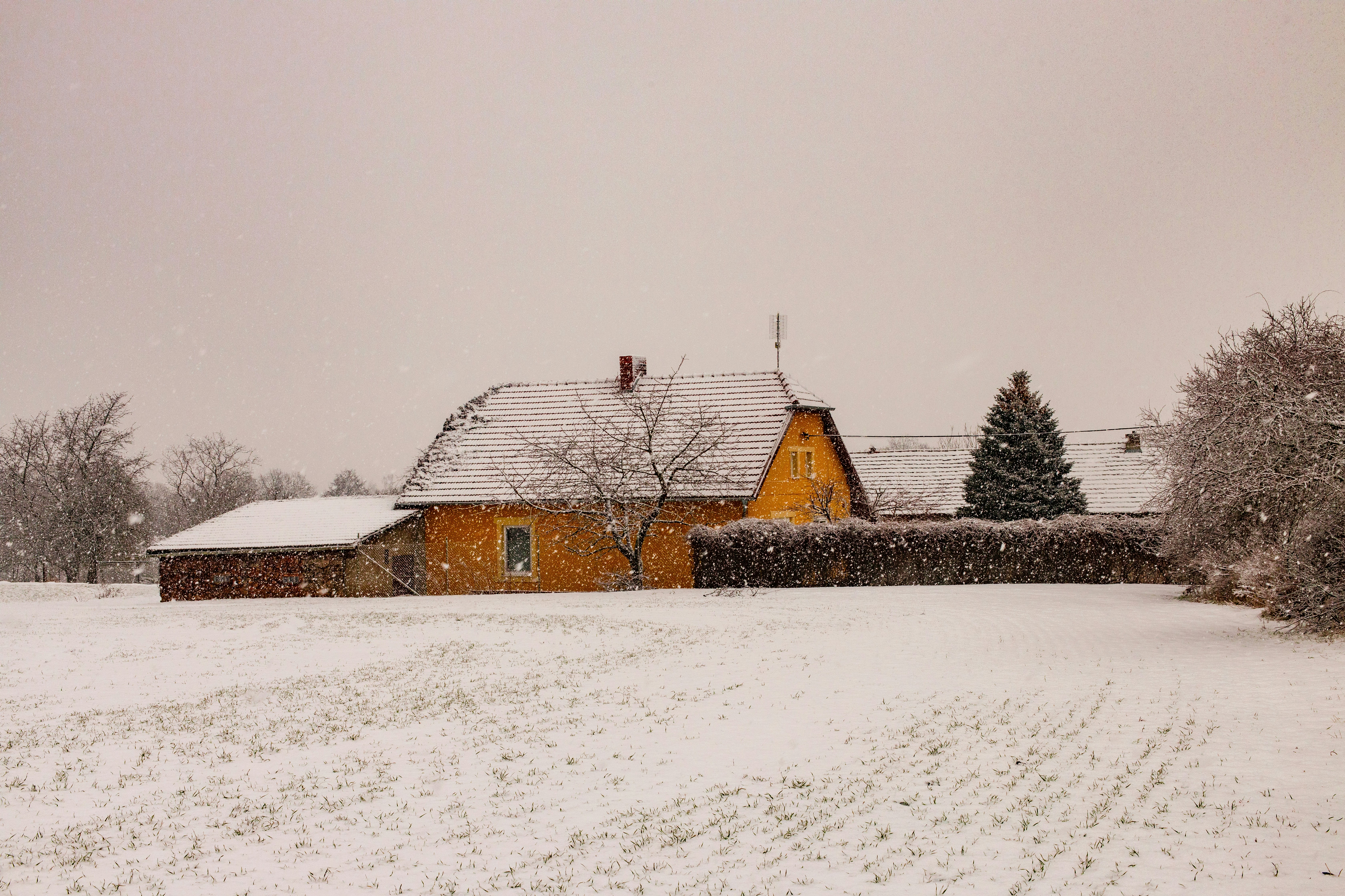 Golden Cottage in Snow: A Quiet Winter Clearing
