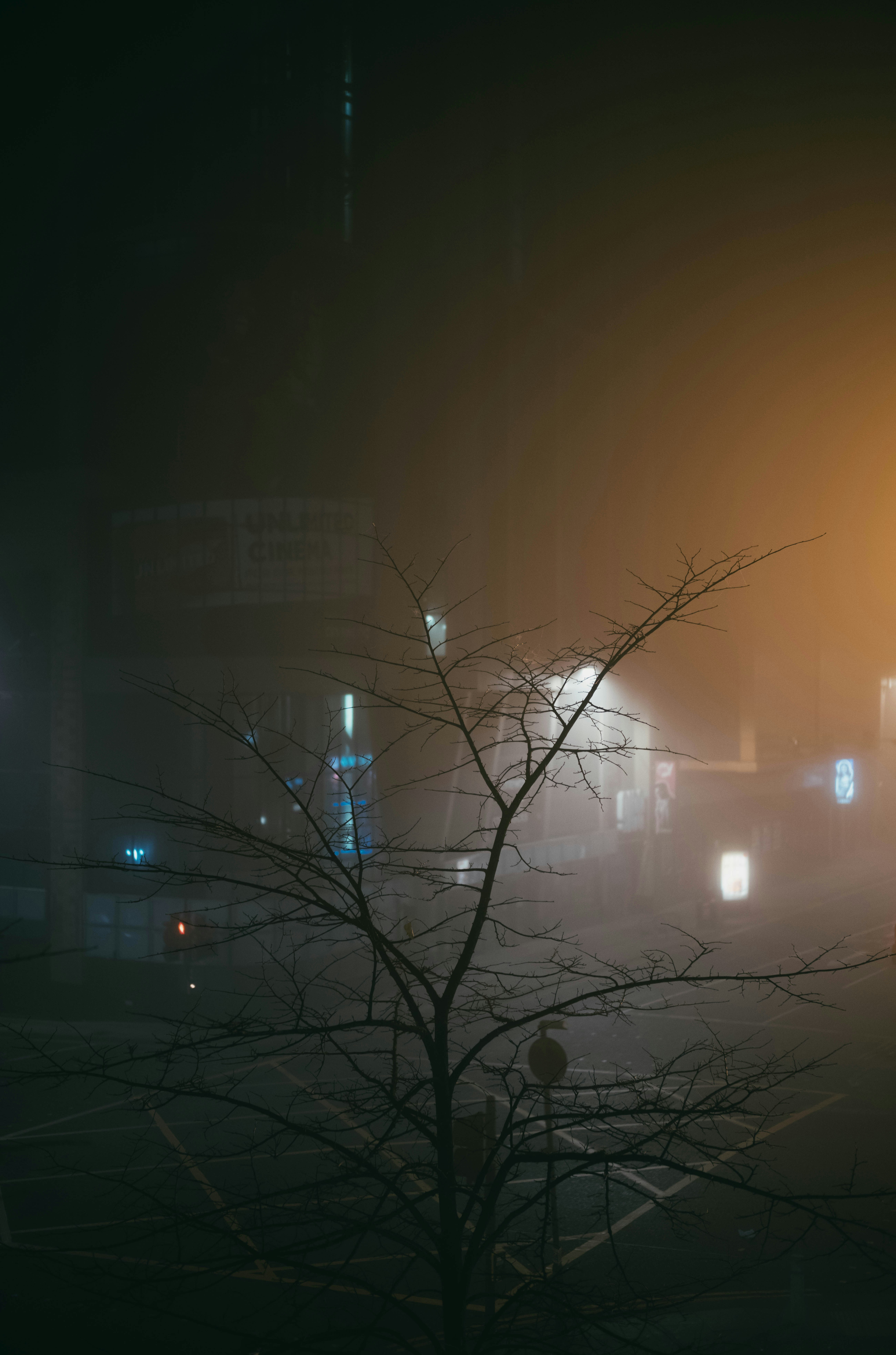 Bare tree silhouetted against a foggy urban backdrop, illuminated by soft street lights and signs. The atmosphere evokes a sense of mystery and solitude.