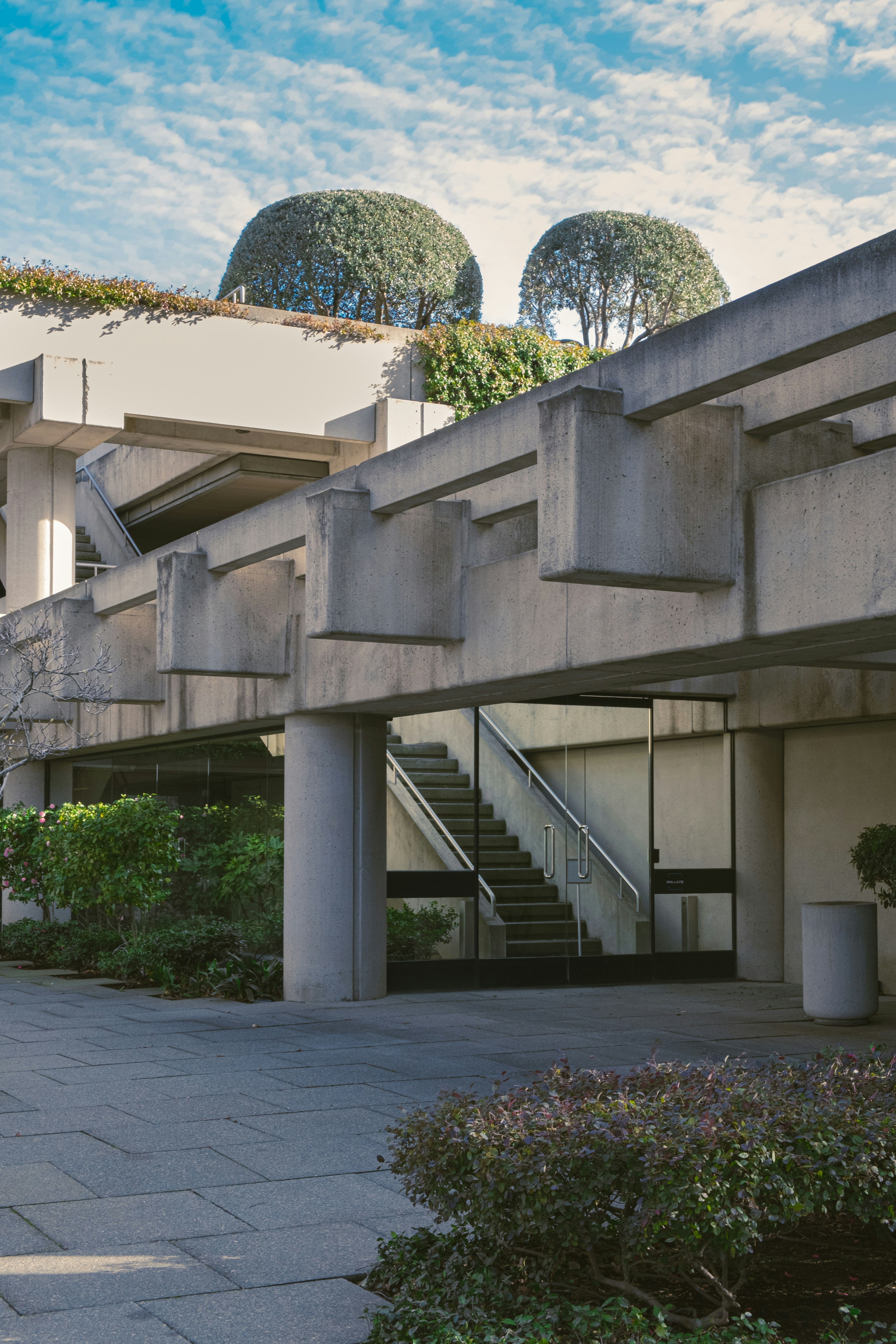 Concentric Planes: Staircase Portal Beneath a Concrete Overpass