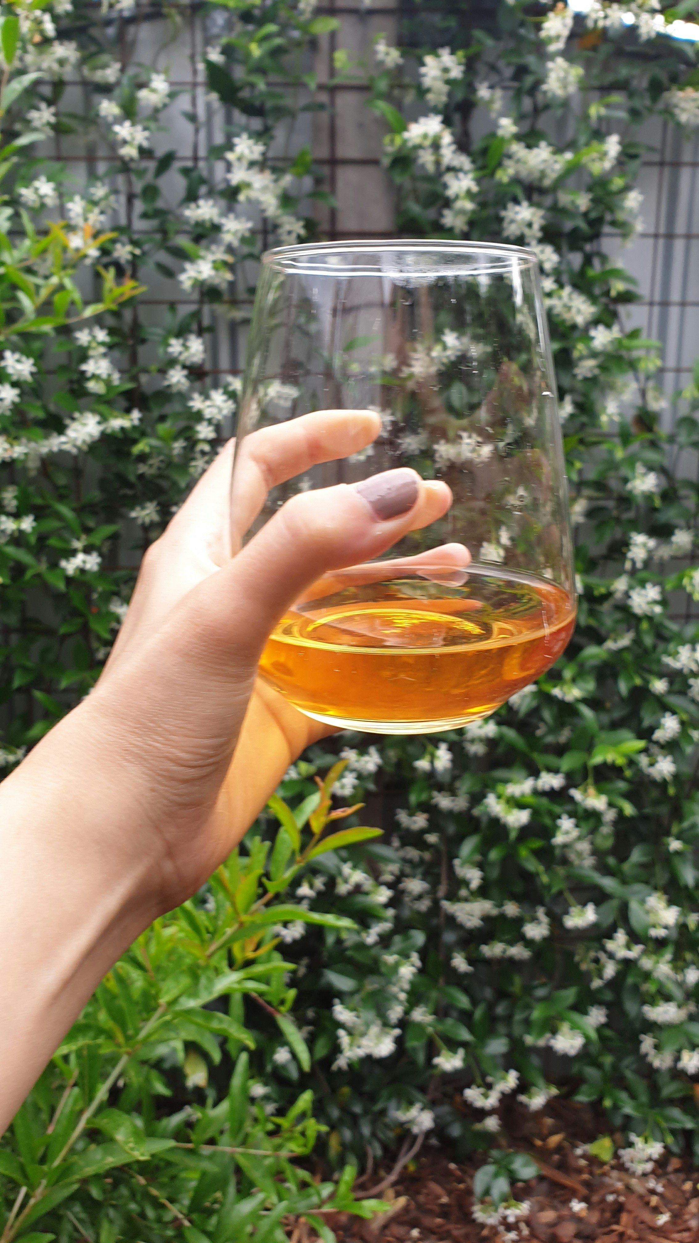 Holding a Glass of Amber in a Fragrant Garden