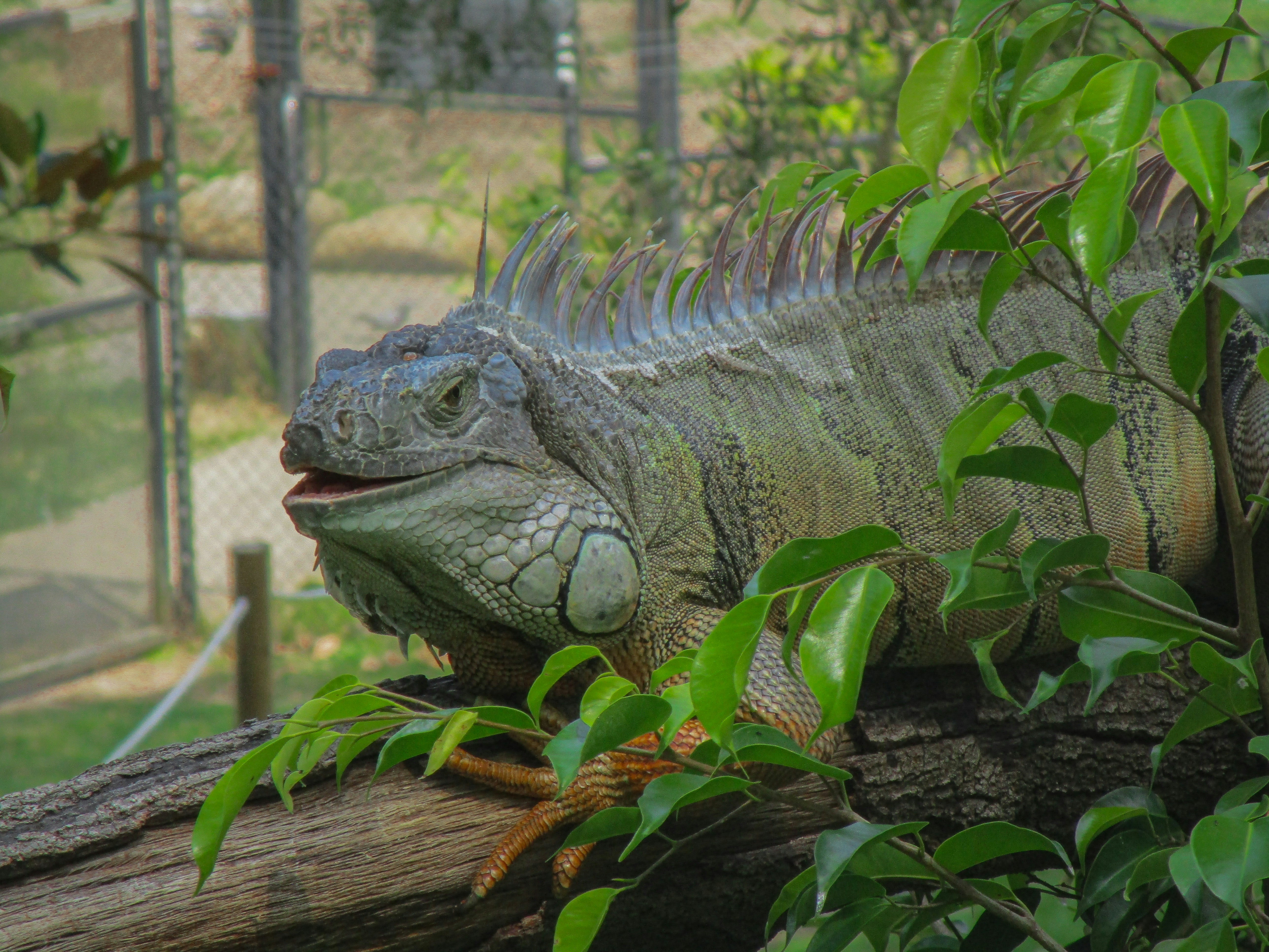 Miranda F (@mirandagrace04) | Unsplash Photo Community
