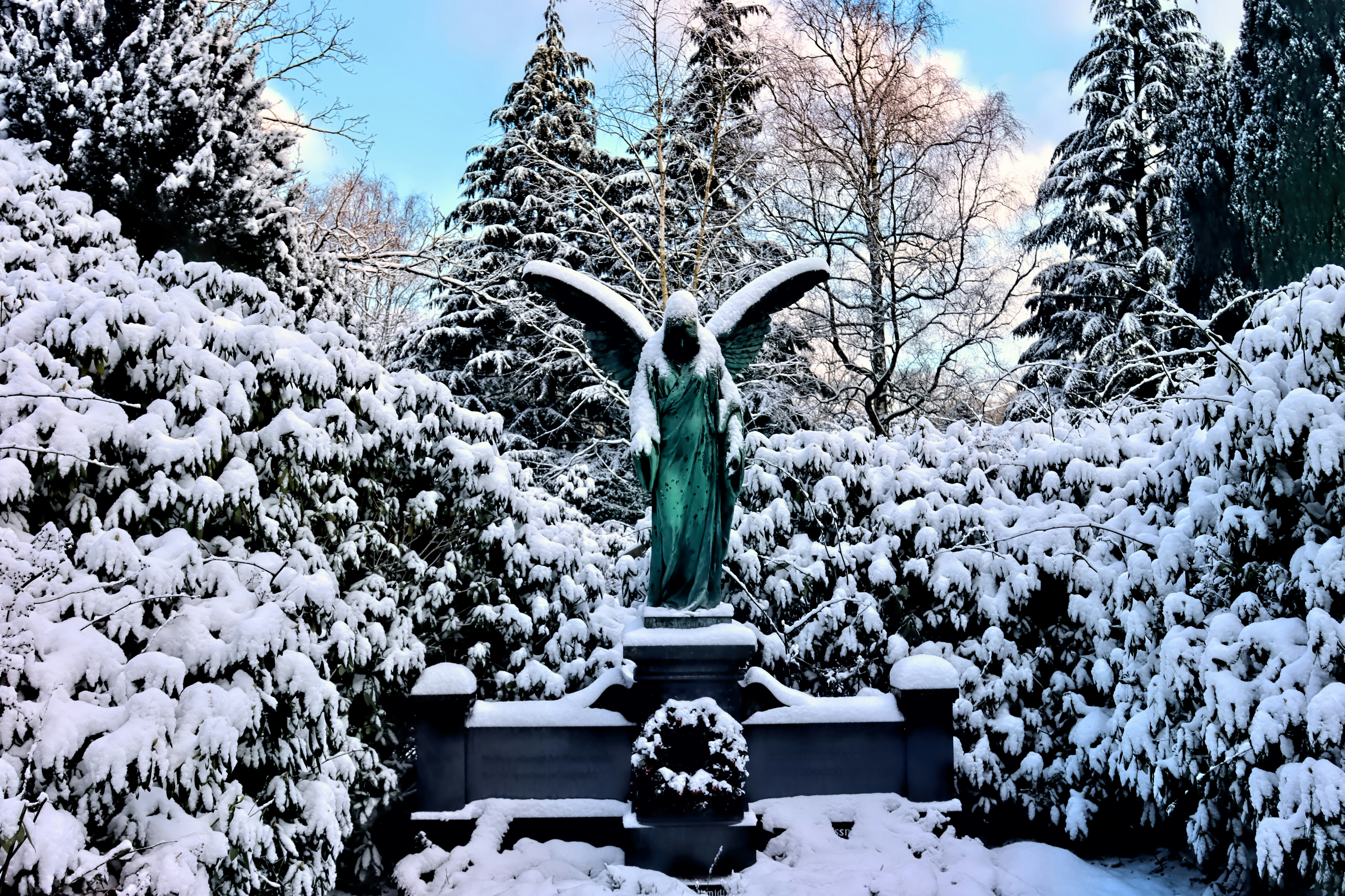 Snow-covered angel statue surrounded by frosted evergreens under a clear blue sky.
