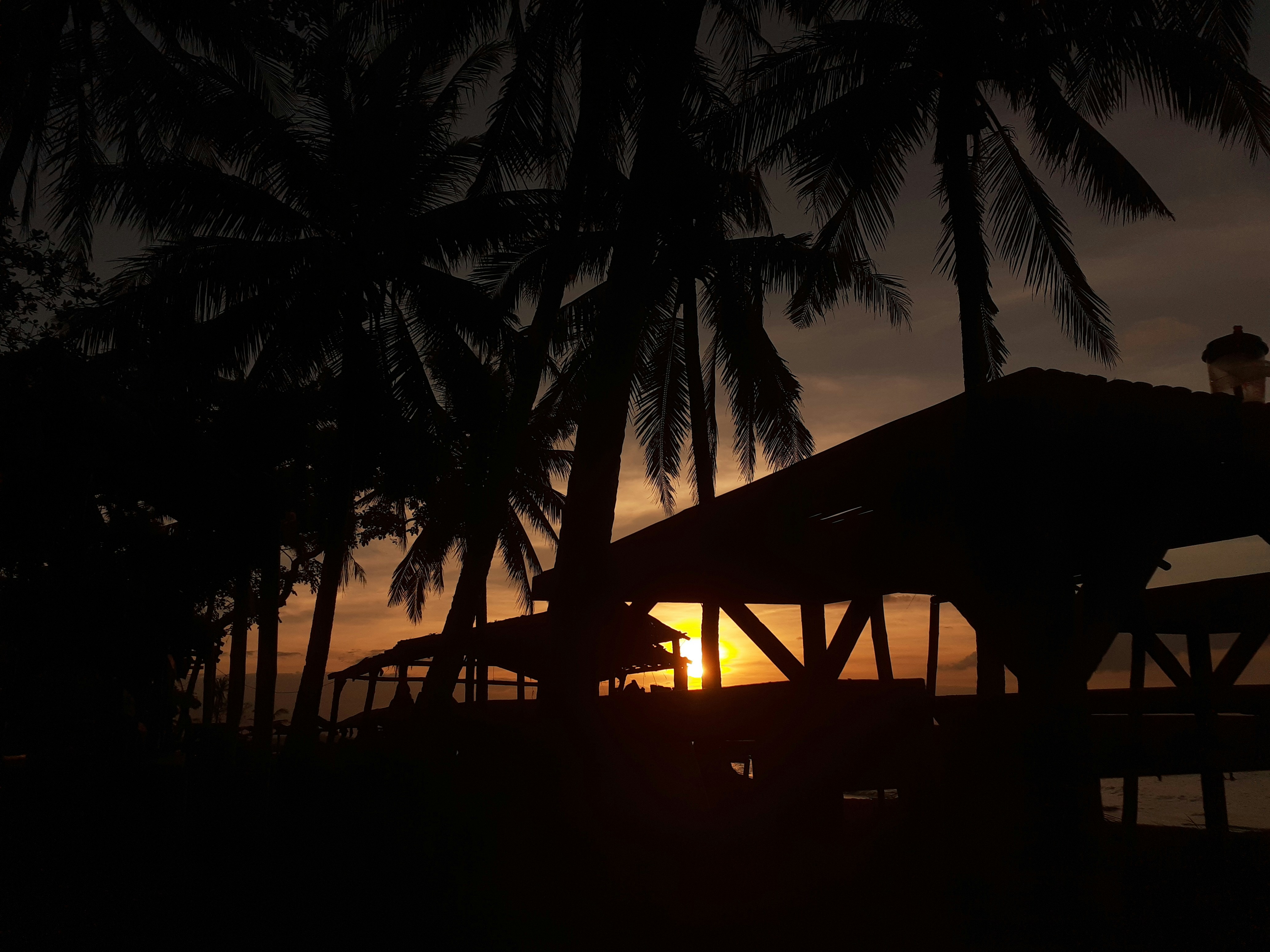 Silhouetted palm trees and a wooden structure against a vibrant sunset.
