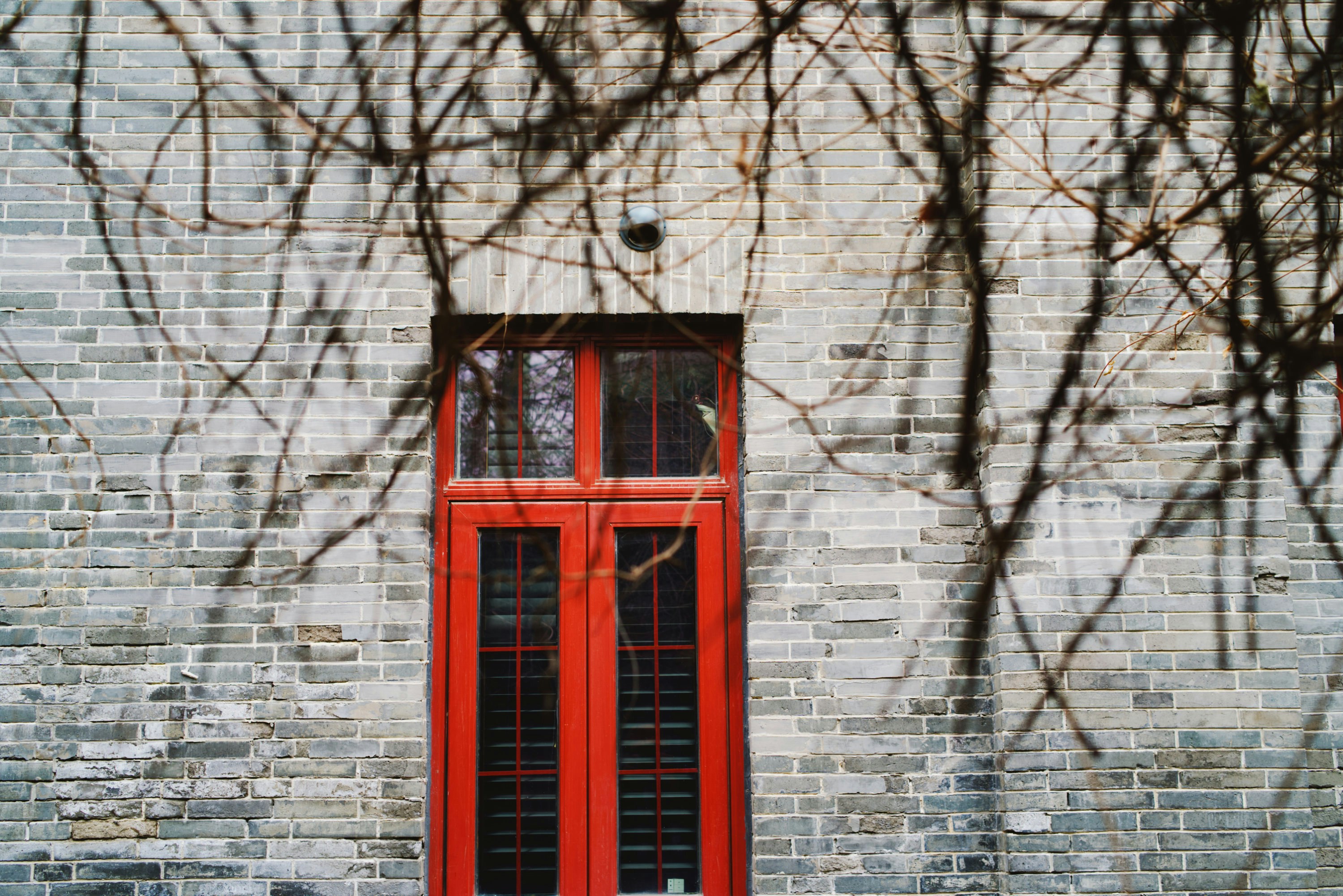 Crimson Window Amid Weathered Brick and Winter Branches