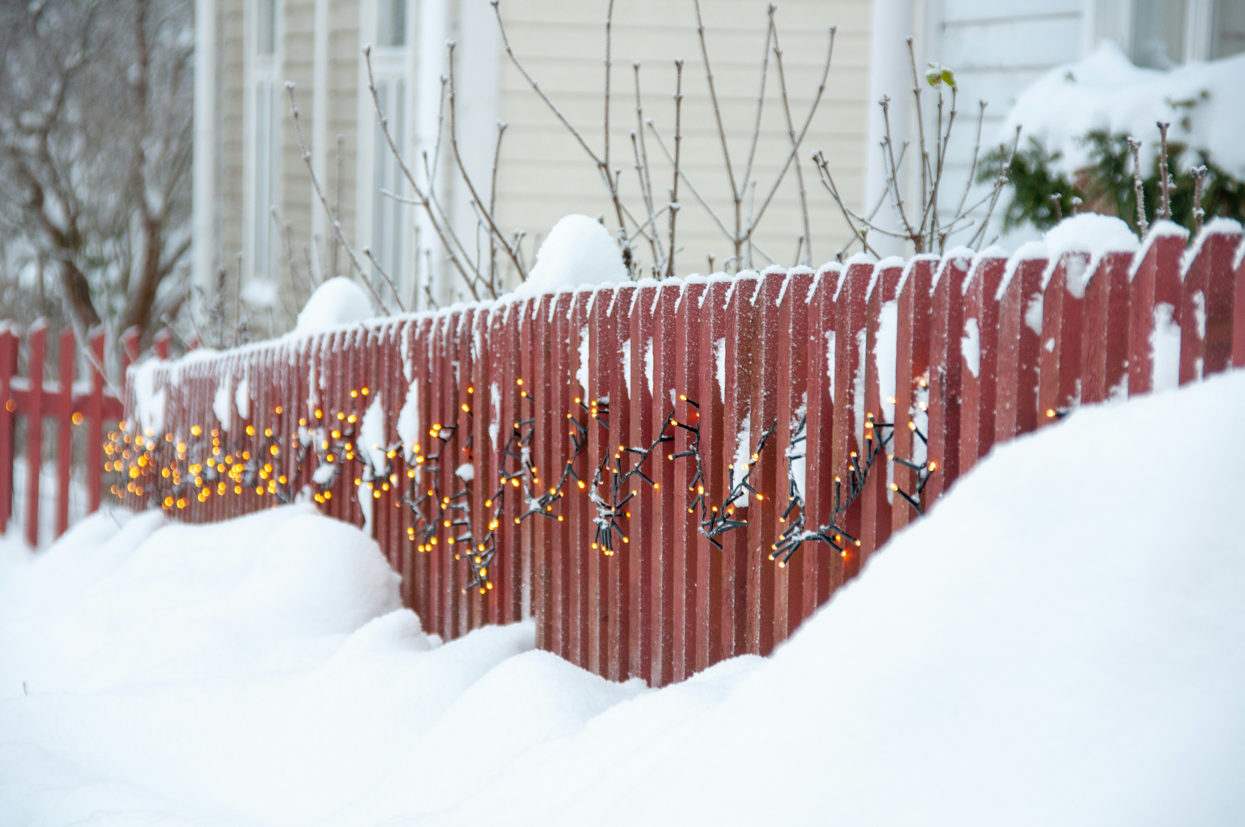 Red Fence, Winter Glow: A Quiet Moment of Lights in Snow