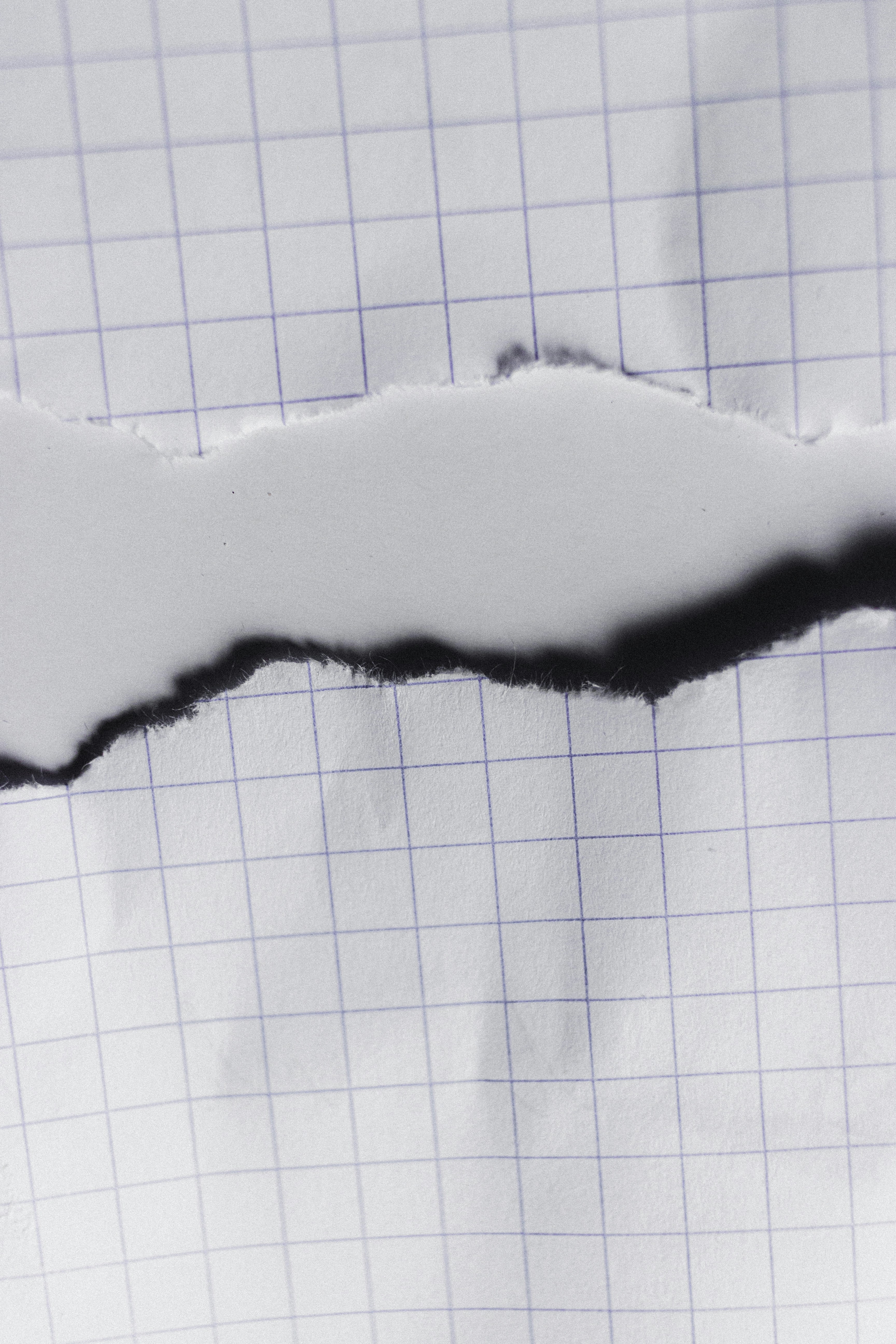 Tear Line on Graph Paper: A Close-Up Study in Texture and Contrast