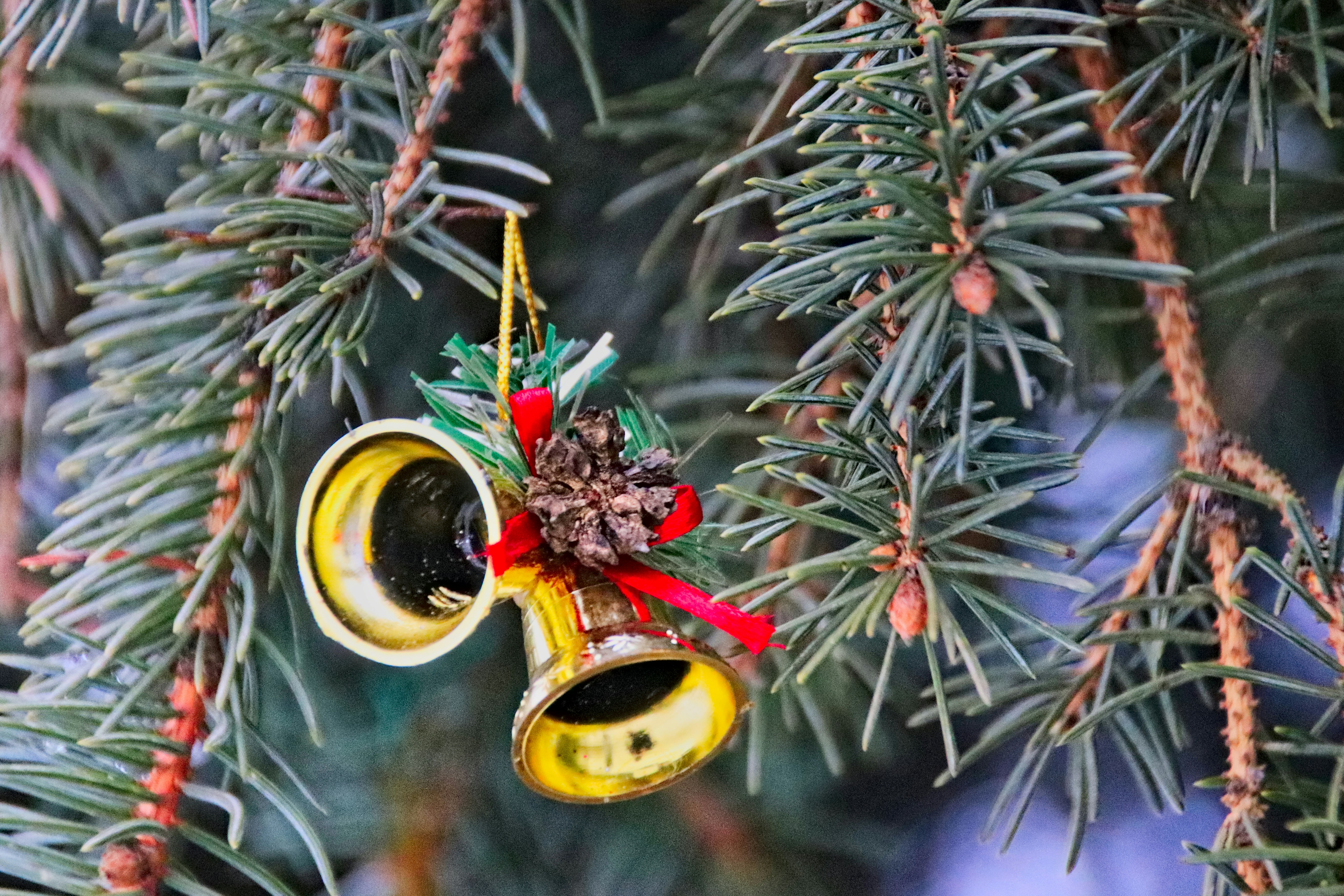 gold and silver christmas baubles on green pine tree
