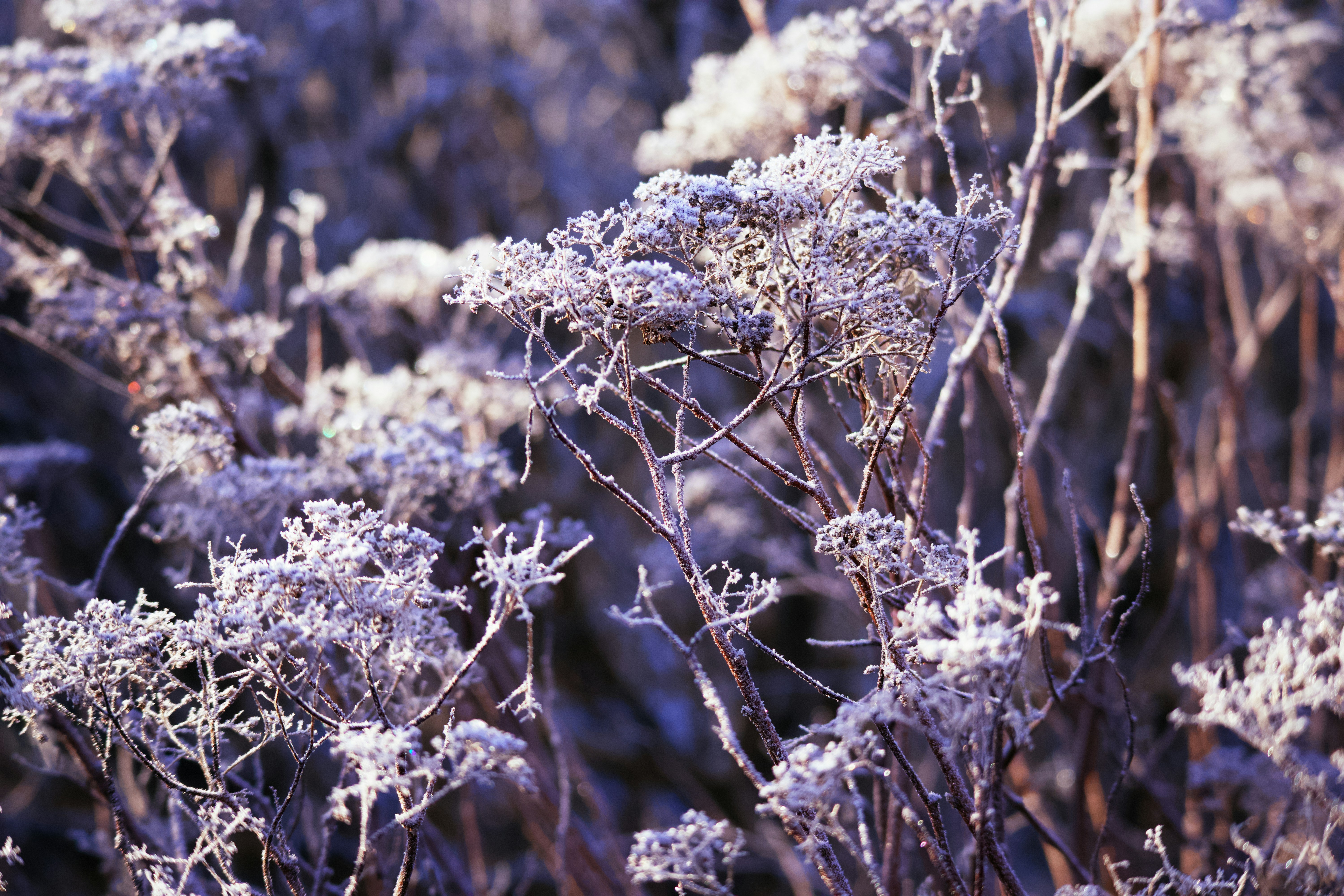 Low Temperature Pictures | Download Free Images on Unsplash