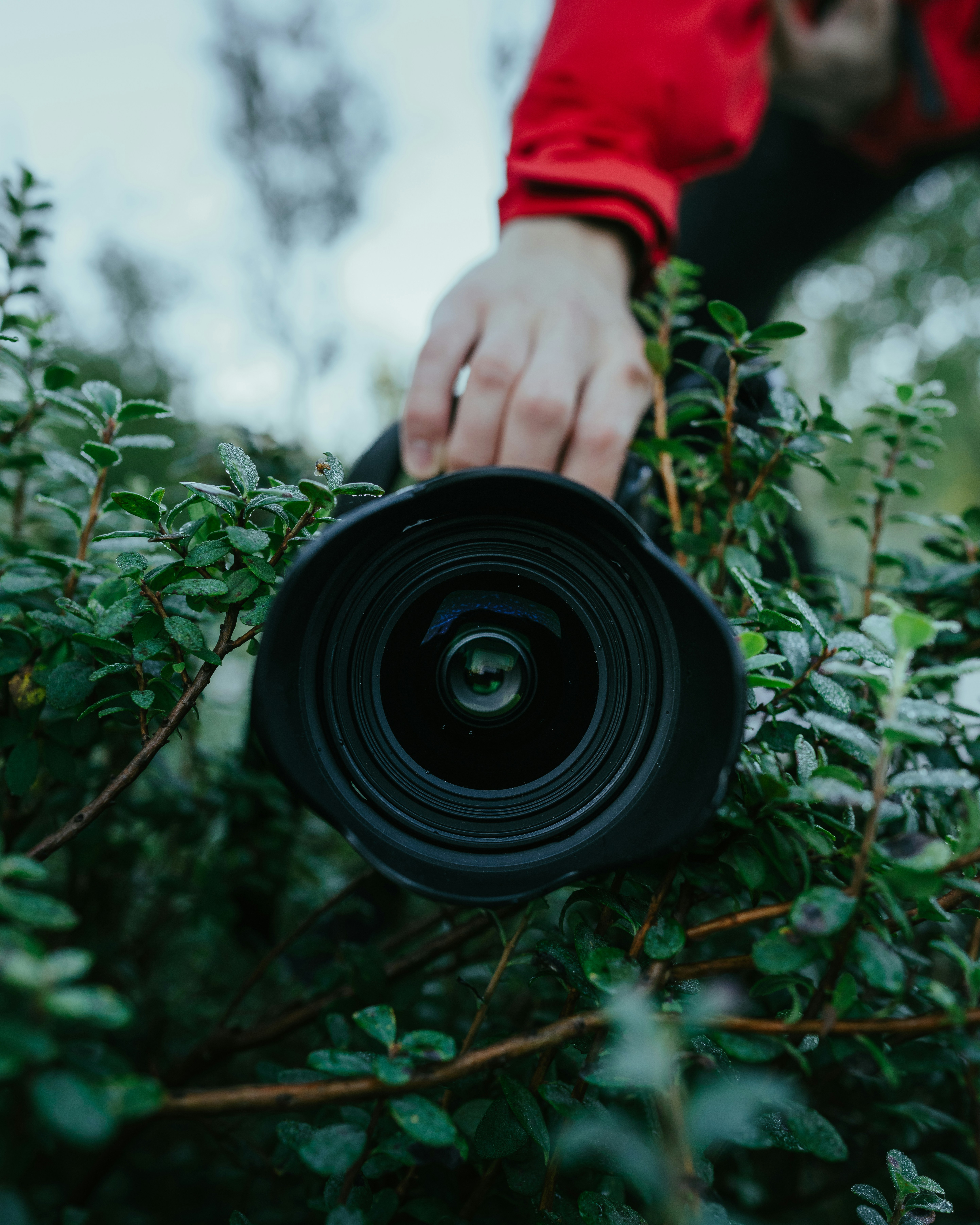 Camera Wallpaper Pictures | Download Free Images on Unsplash