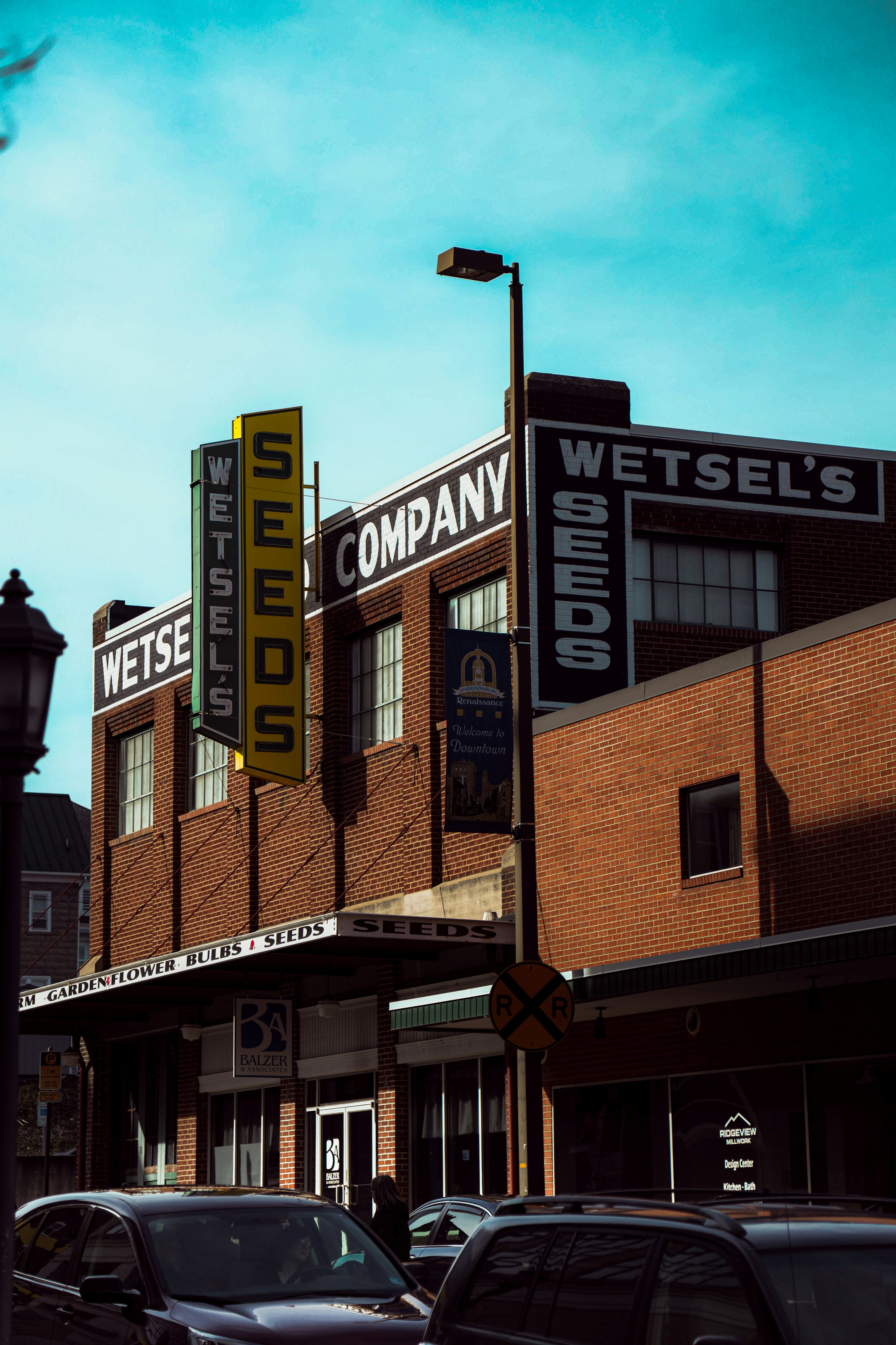 Vertical Seeds Sign Over a Brick Row Under a Clear Blue Sky