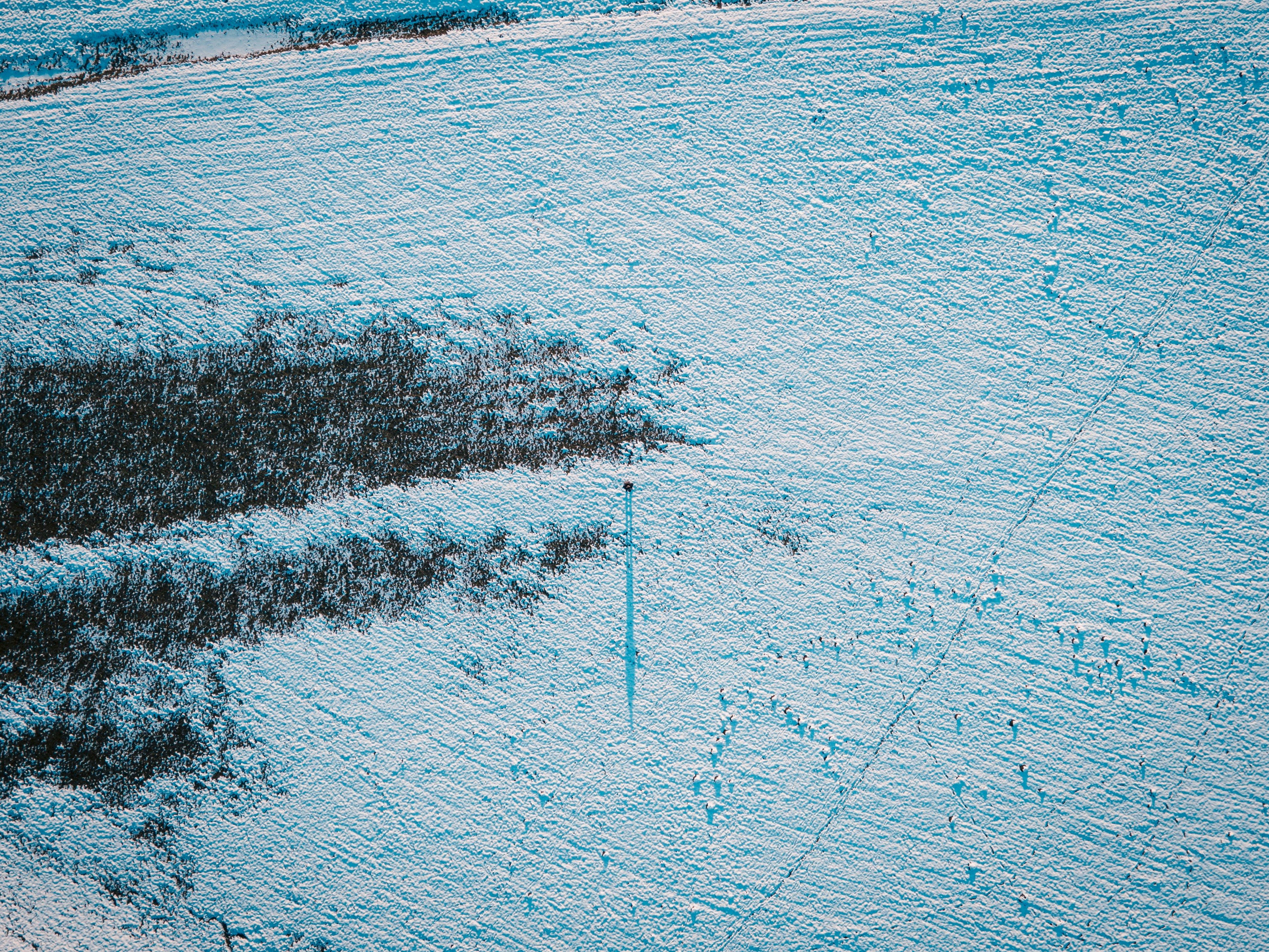 snow covered field during daytime