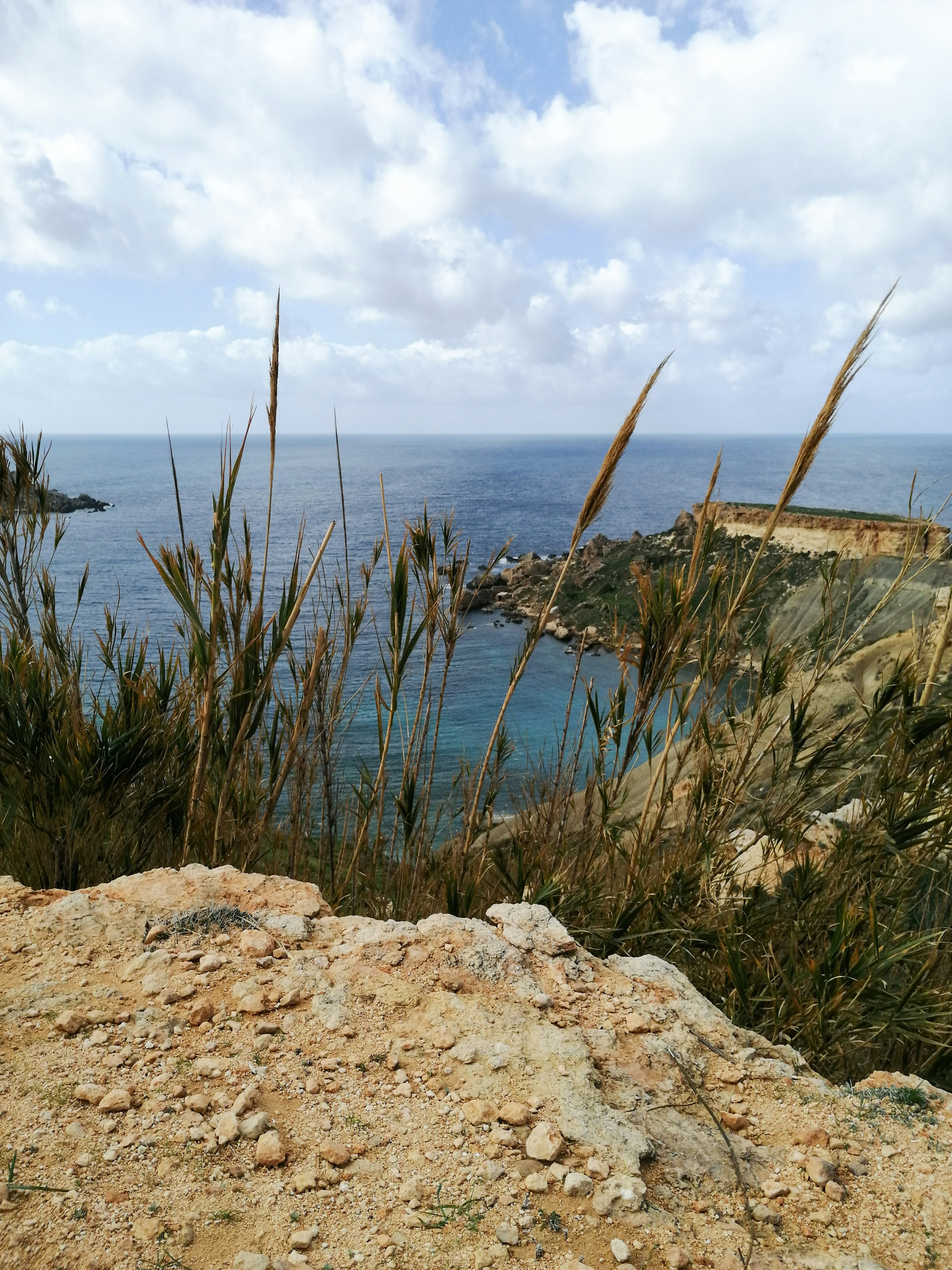 Lush coastal vegetation frames a tranquil seascape with gentle waves lapping against rocky shores under a partly cloudy sky.