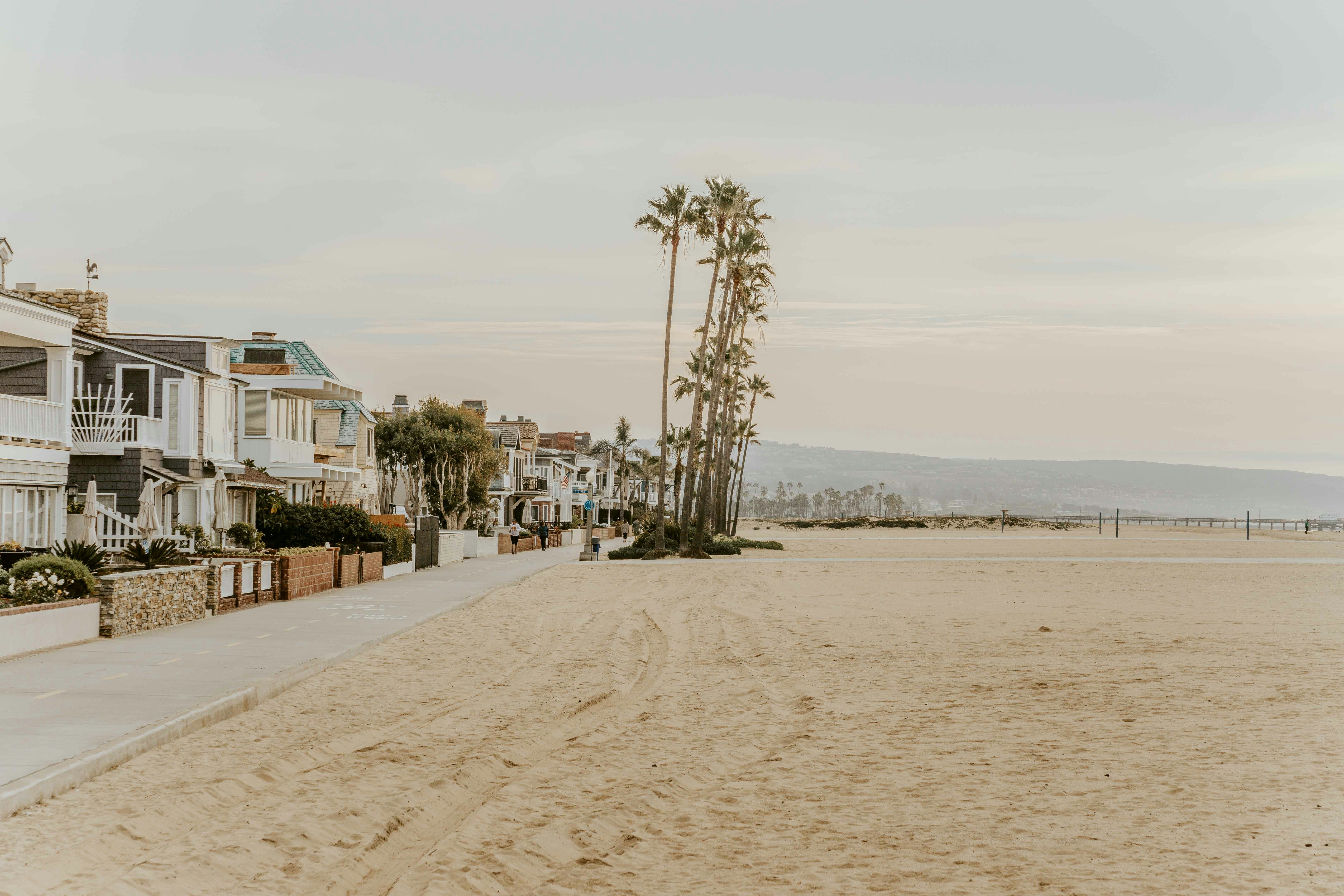 Quiet beachfront with palm trees and houses under a soft morning sky.