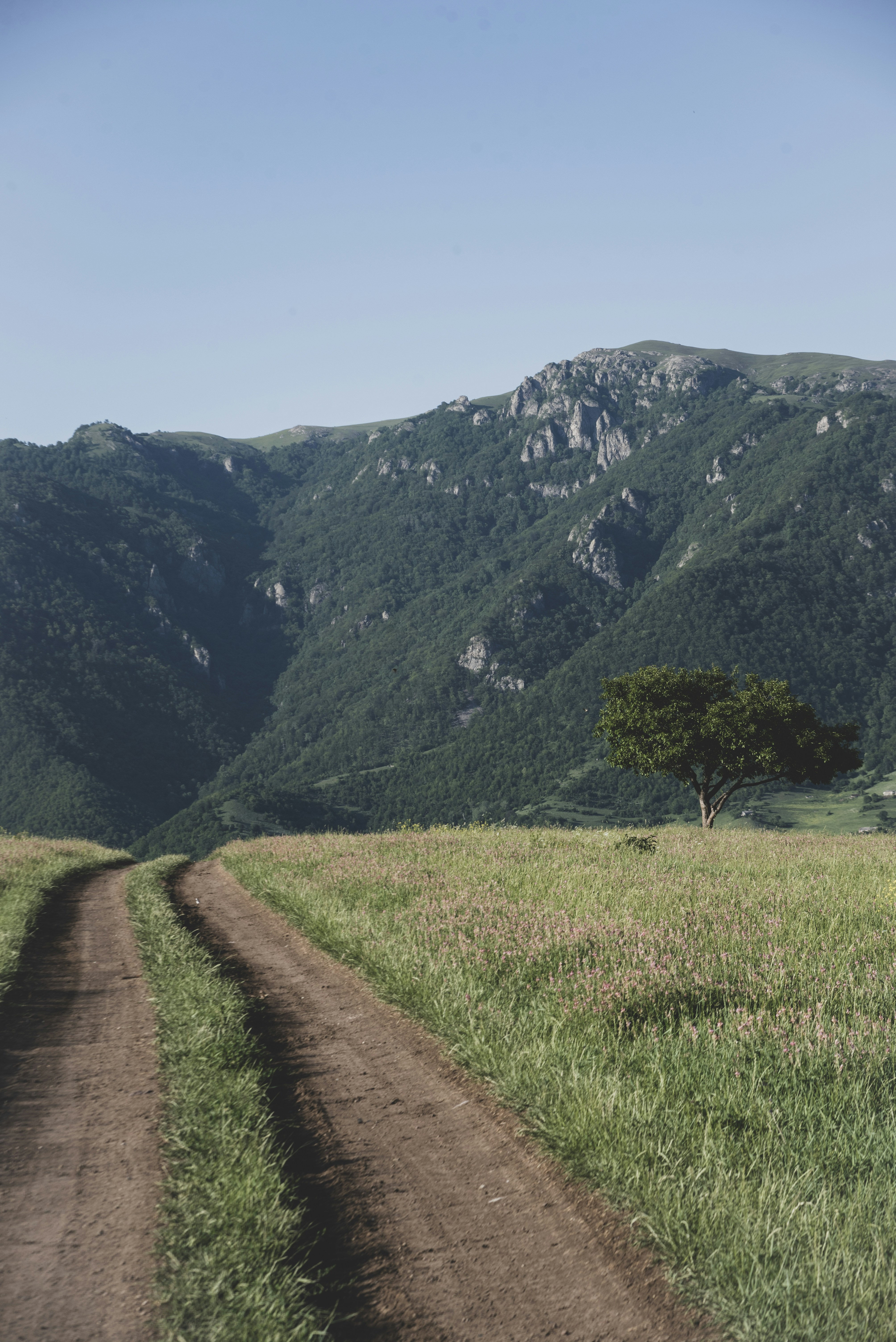 Green grass field near mountain during daytime photo – Free Dsegh Image ...